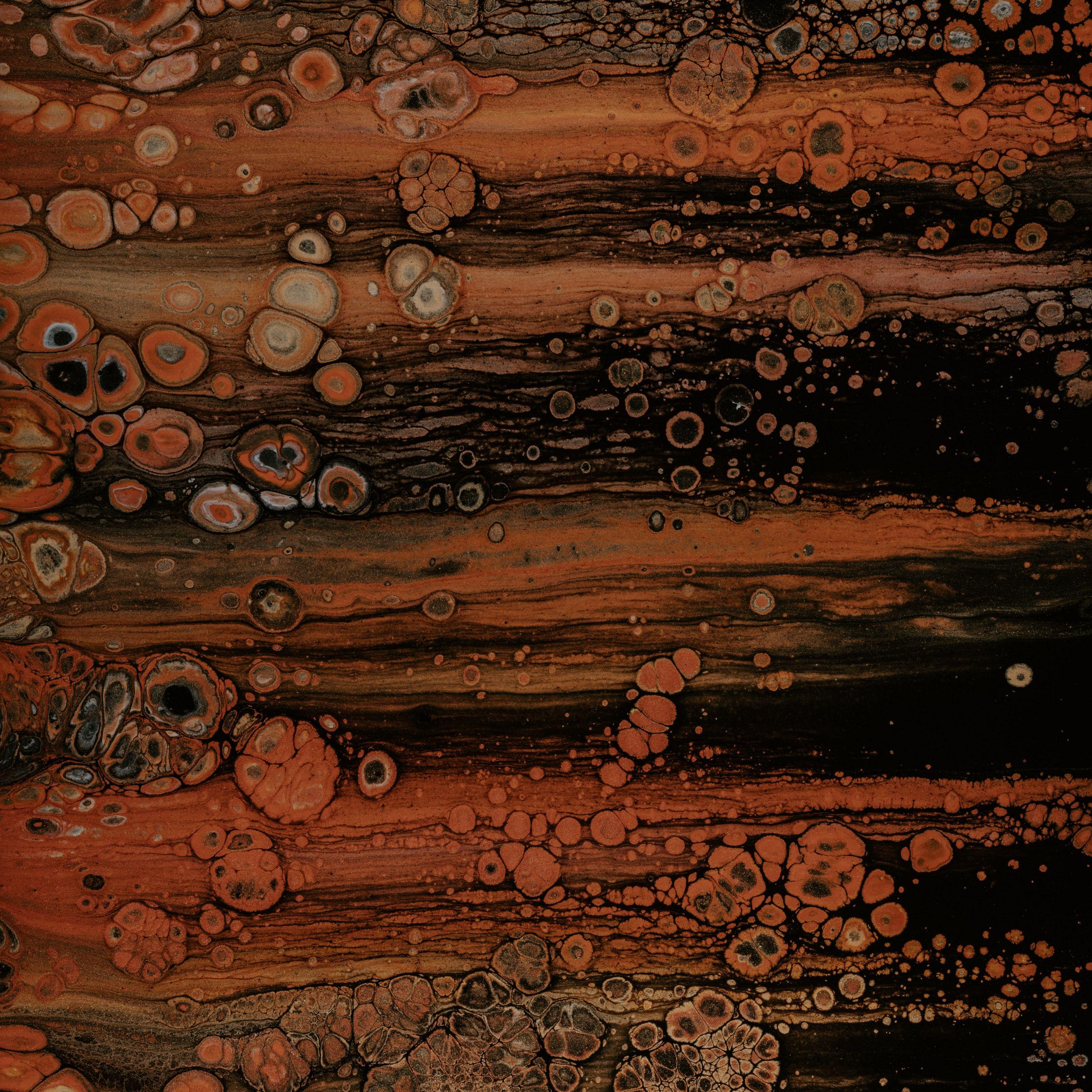 Brown iPad Wallpapers - Top Free Brown iPad Backgrounds - WallpaperAccess