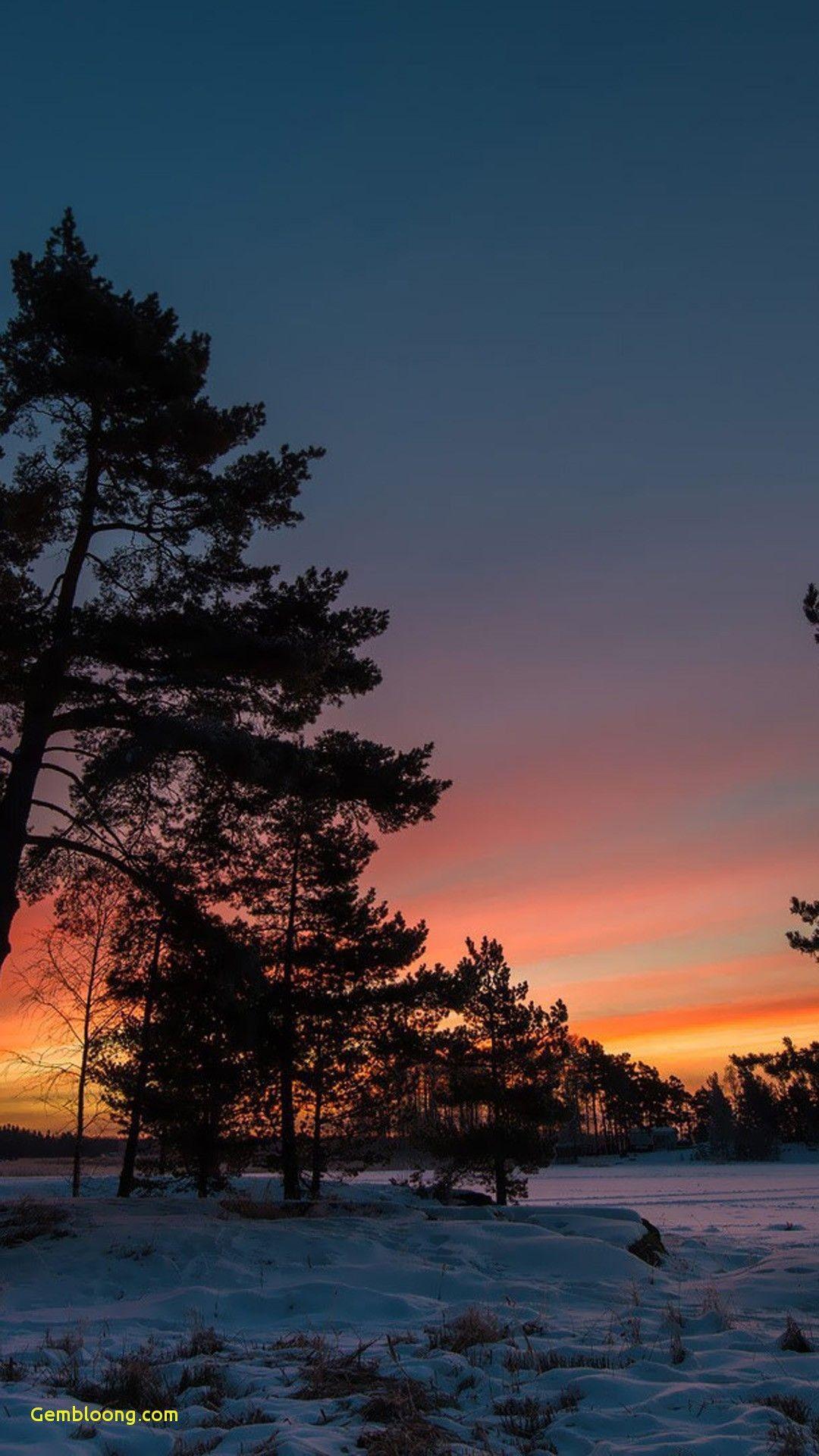 Popular iPhone Wallpapers - Top Free Popular iPhone Backgrounds ...