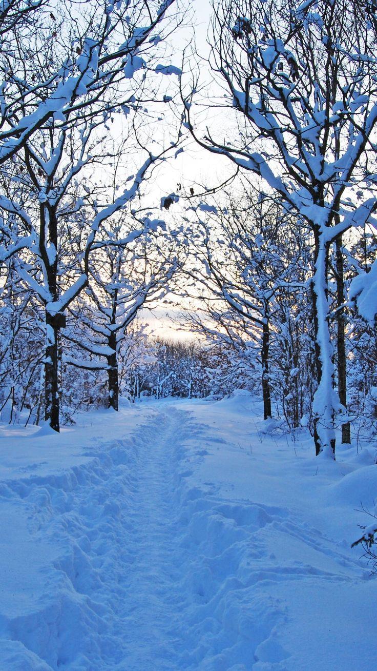 Winter Snow iPhone Wallpapers - Top Free Winter Snow iPhone Backgrounds ...