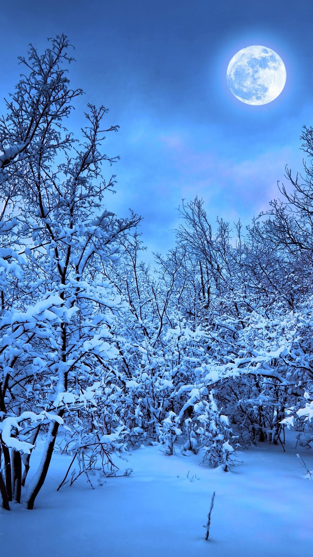 Winter Snow iPhone Wallpapers - Top Free Winter Snow iPhone Backgrounds ...