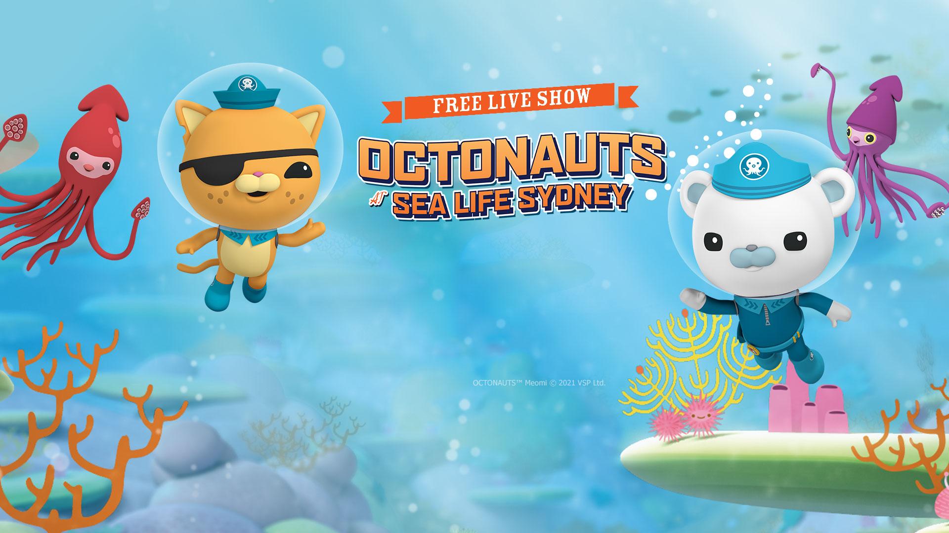 The Octonauts Wallpapers - Top Free The Octonauts Backgrounds ...