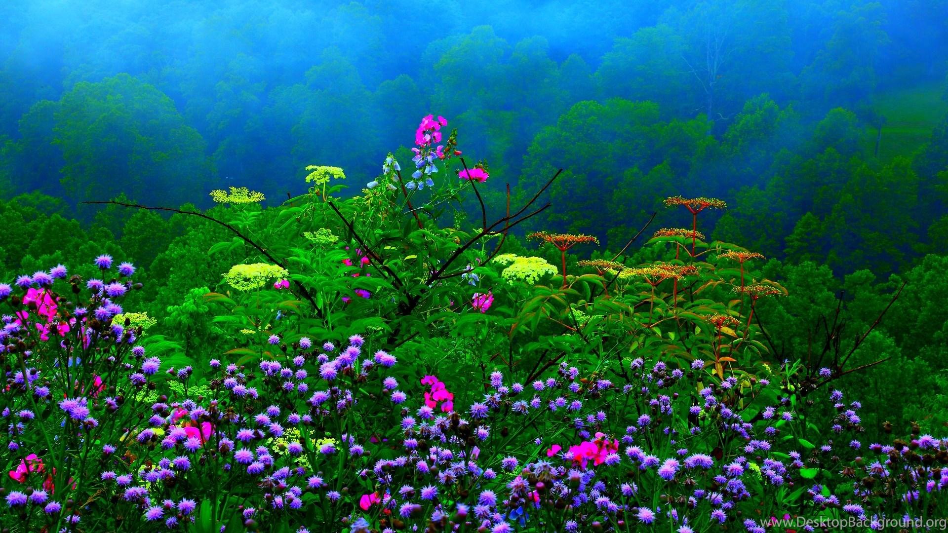 Rainy Spring Desktop Wallpapers - Top Free Rainy Spring Desktop ...