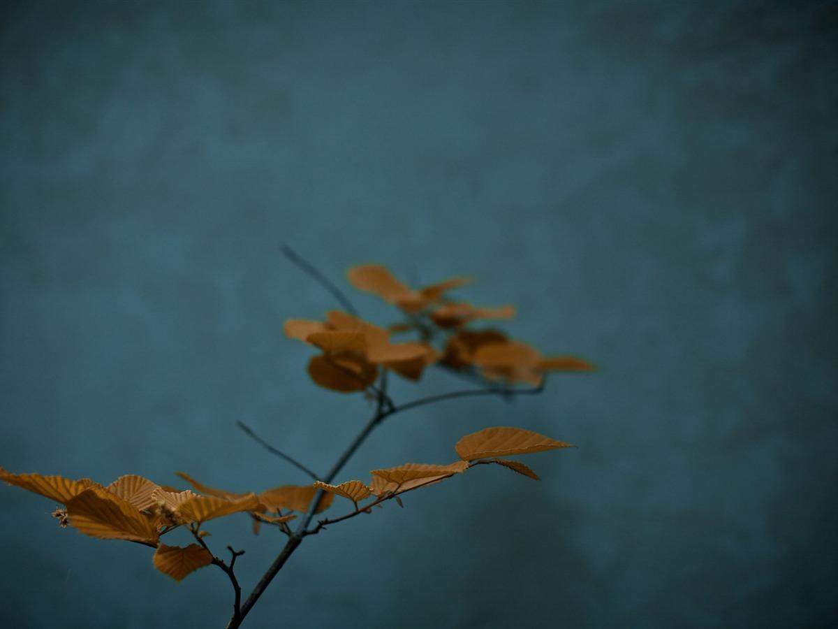 Zen Photography Wallpapers - Top Free Zen Photography Backgrounds ...