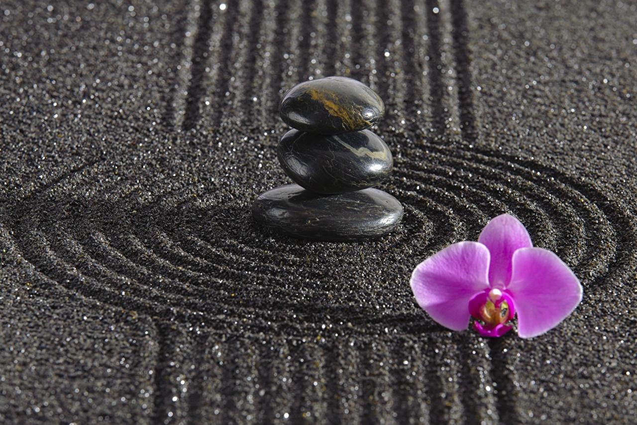 Zen Photography Wallpapers - Top Free Zen Photography Backgrounds ...