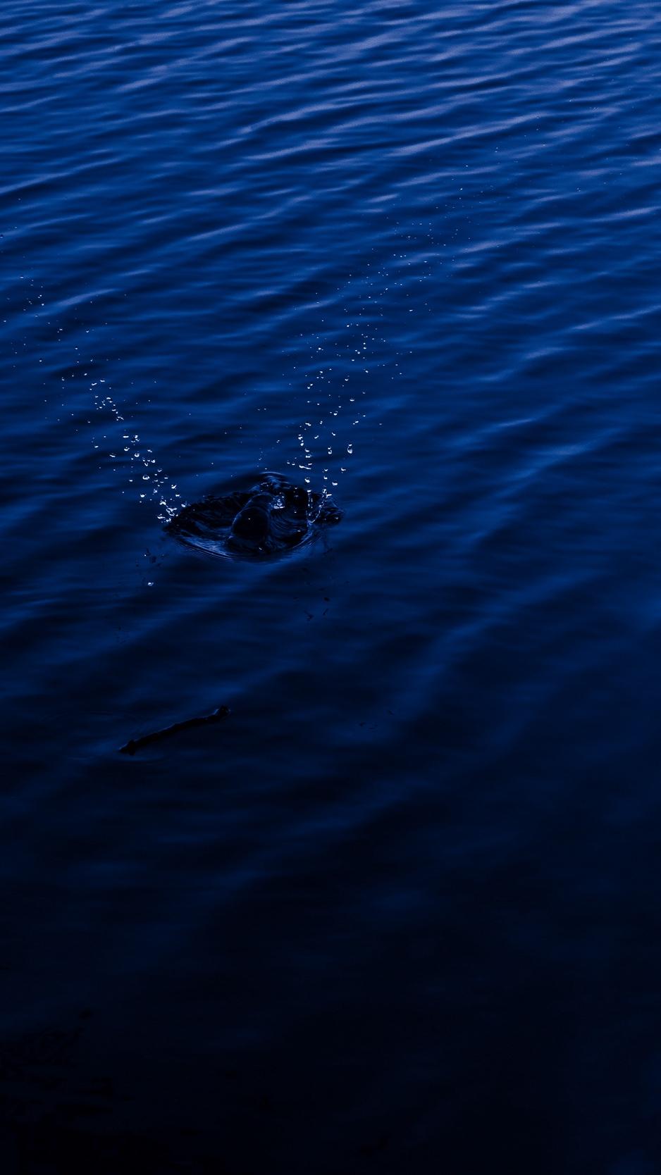 Dark Blue Ocean Wallpapers - Top Free Dark Blue Ocean Backgrounds ...