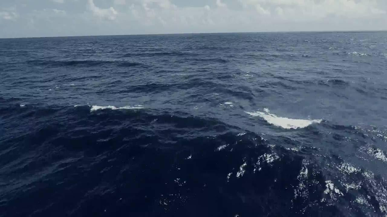 Dark Blue Ocean Wallpapers - Top Free Dark Blue Ocean Backgrounds ...