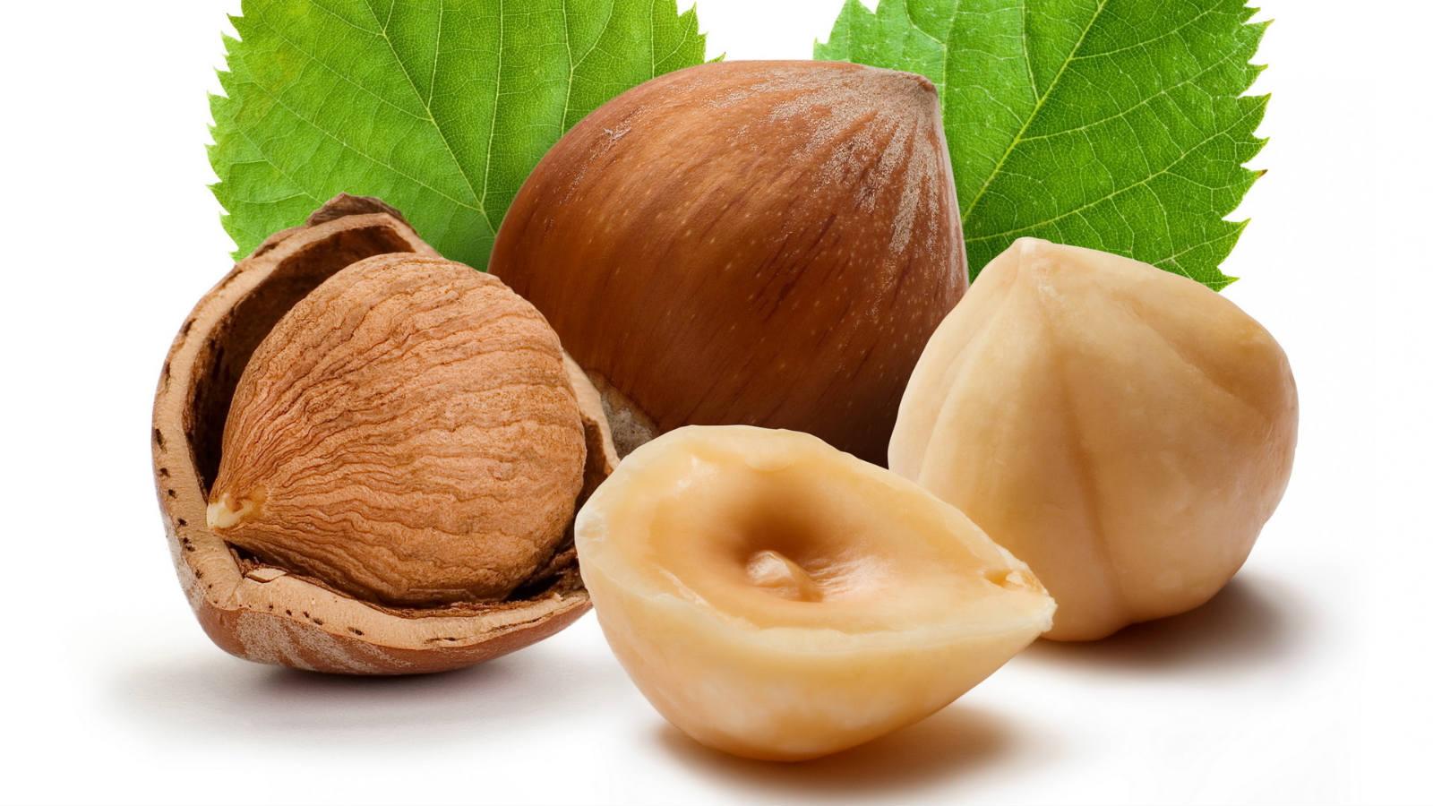 Hazelnut Wallpapers - Top Free Hazelnut Backgrounds - WallpaperAccess