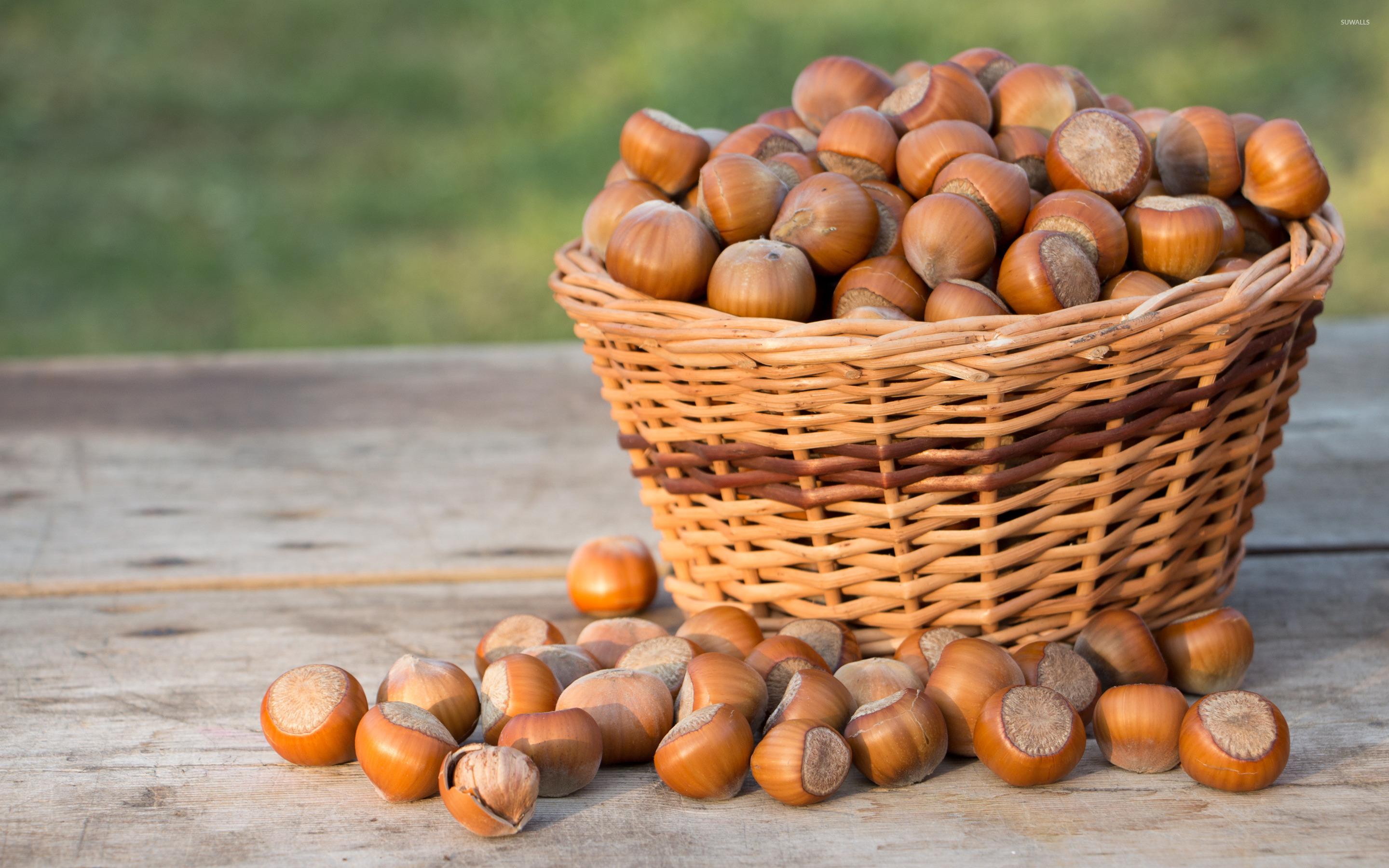 Hazelnut Wallpapers - Top Free Hazelnut Backgrounds - WallpaperAccess