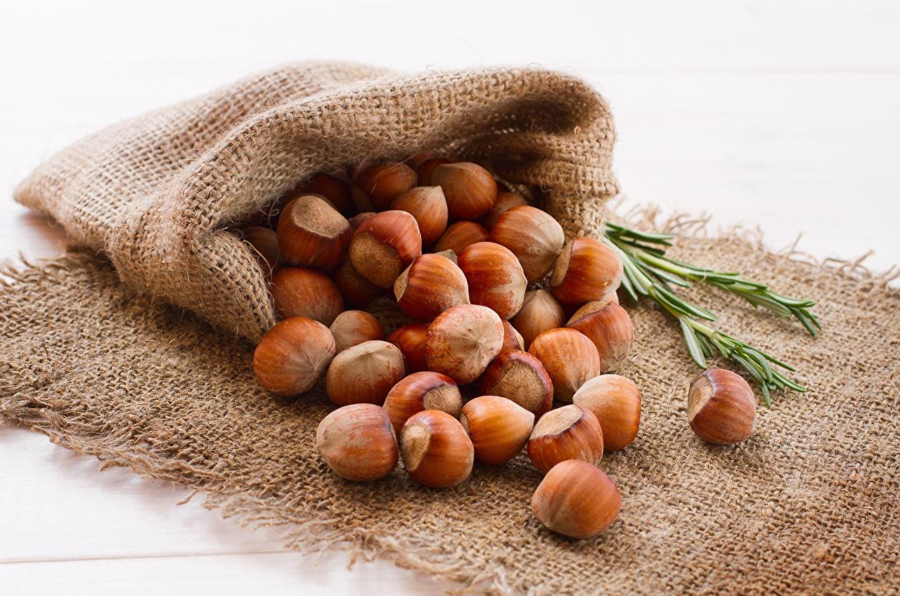 Hazelnut Wallpapers - Top Free Hazelnut Backgrounds - WallpaperAccess