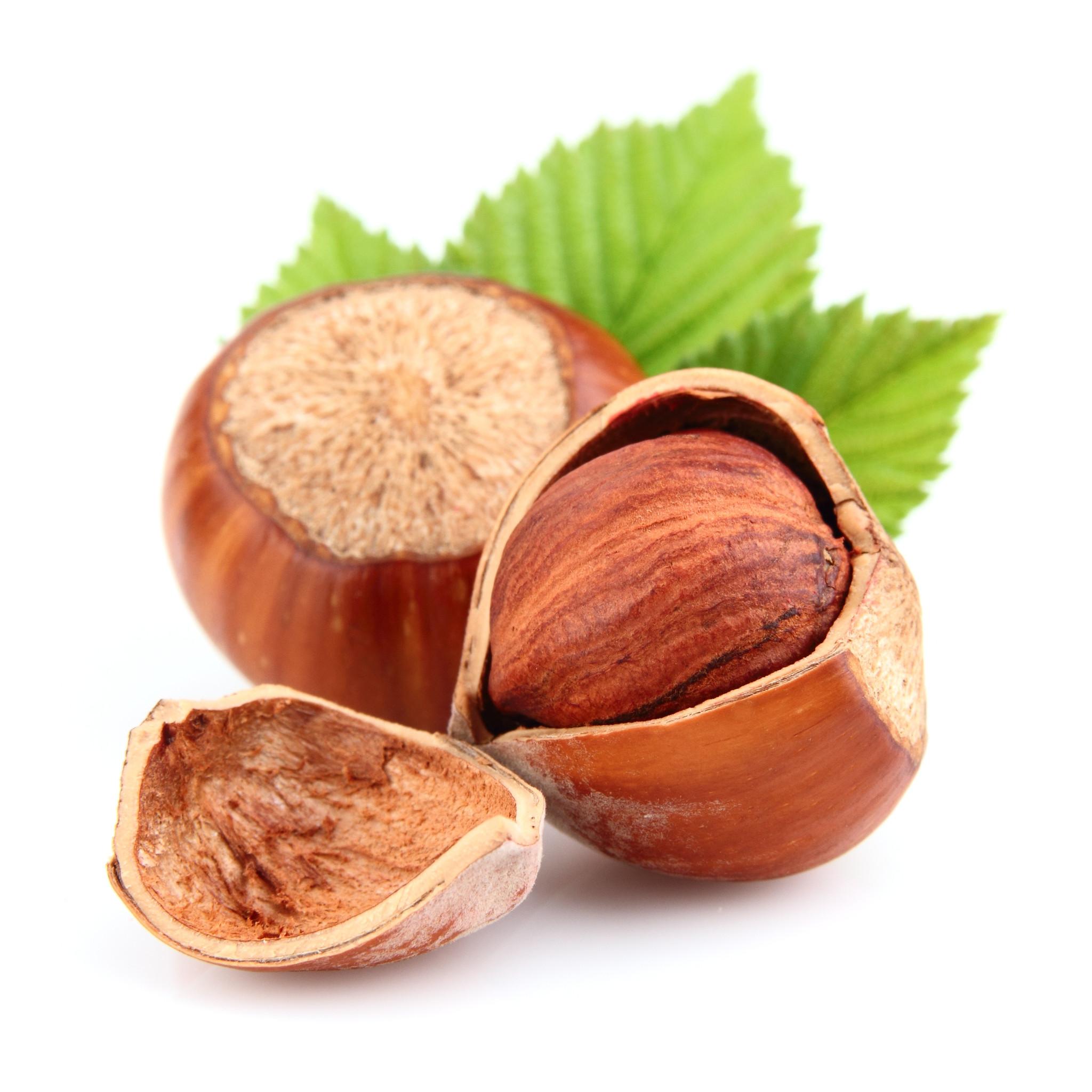 Hazelnut Wallpapers - Top Free Hazelnut Backgrounds - WallpaperAccess
