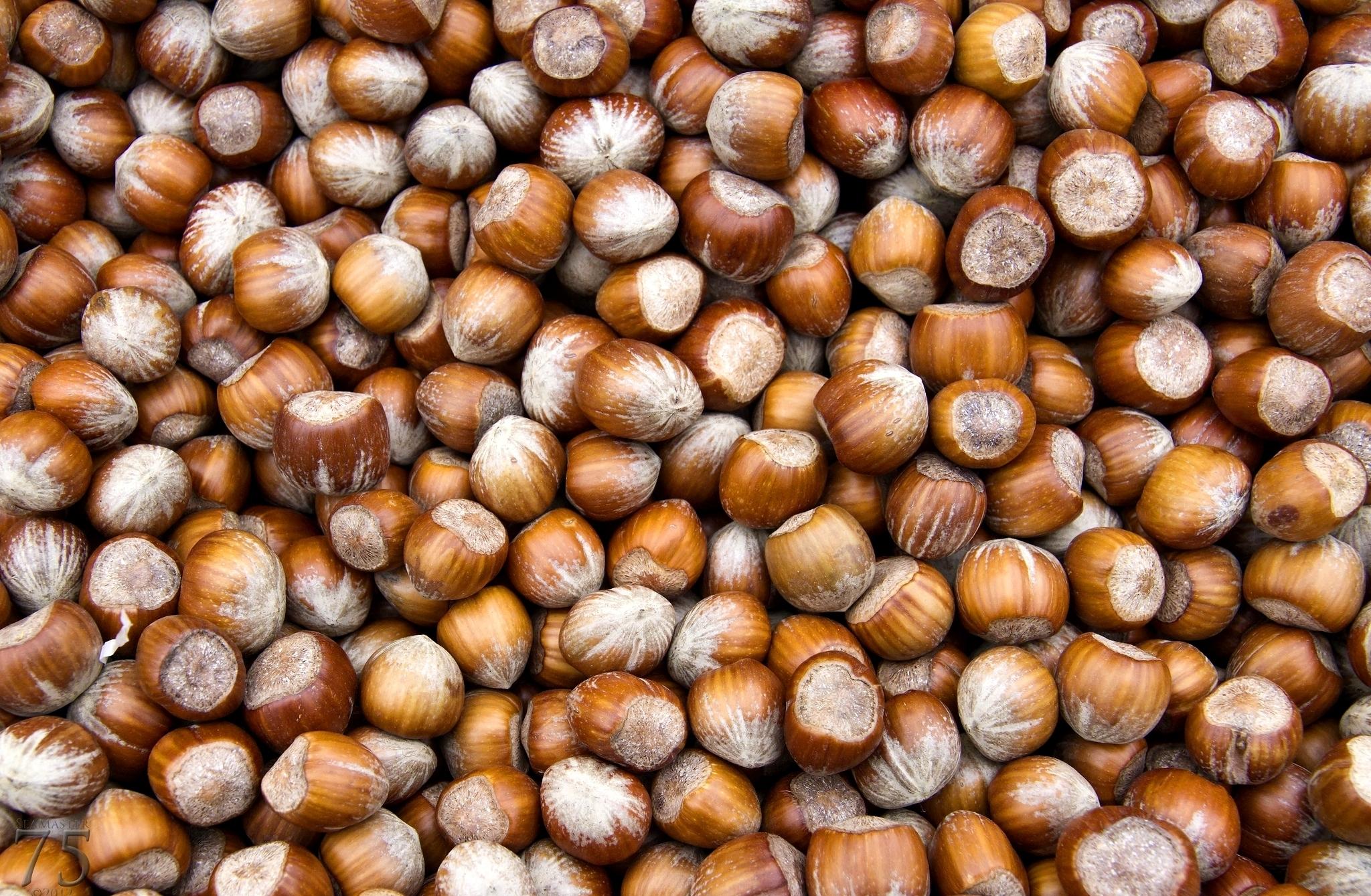 Hazelnut Wallpapers - Top Free Hazelnut Backgrounds - WallpaperAccess