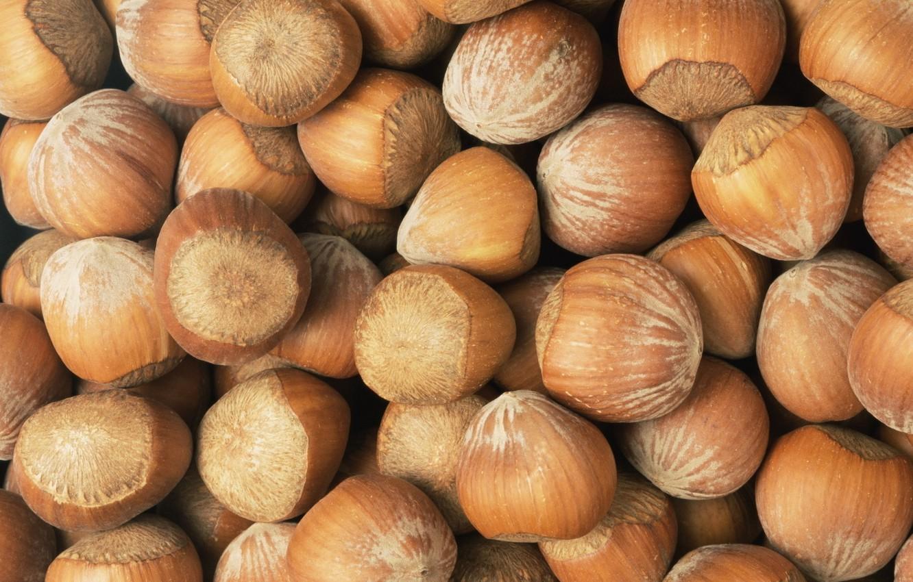 Hazelnut Wallpapers - Top Free Hazelnut Backgrounds - WallpaperAccess