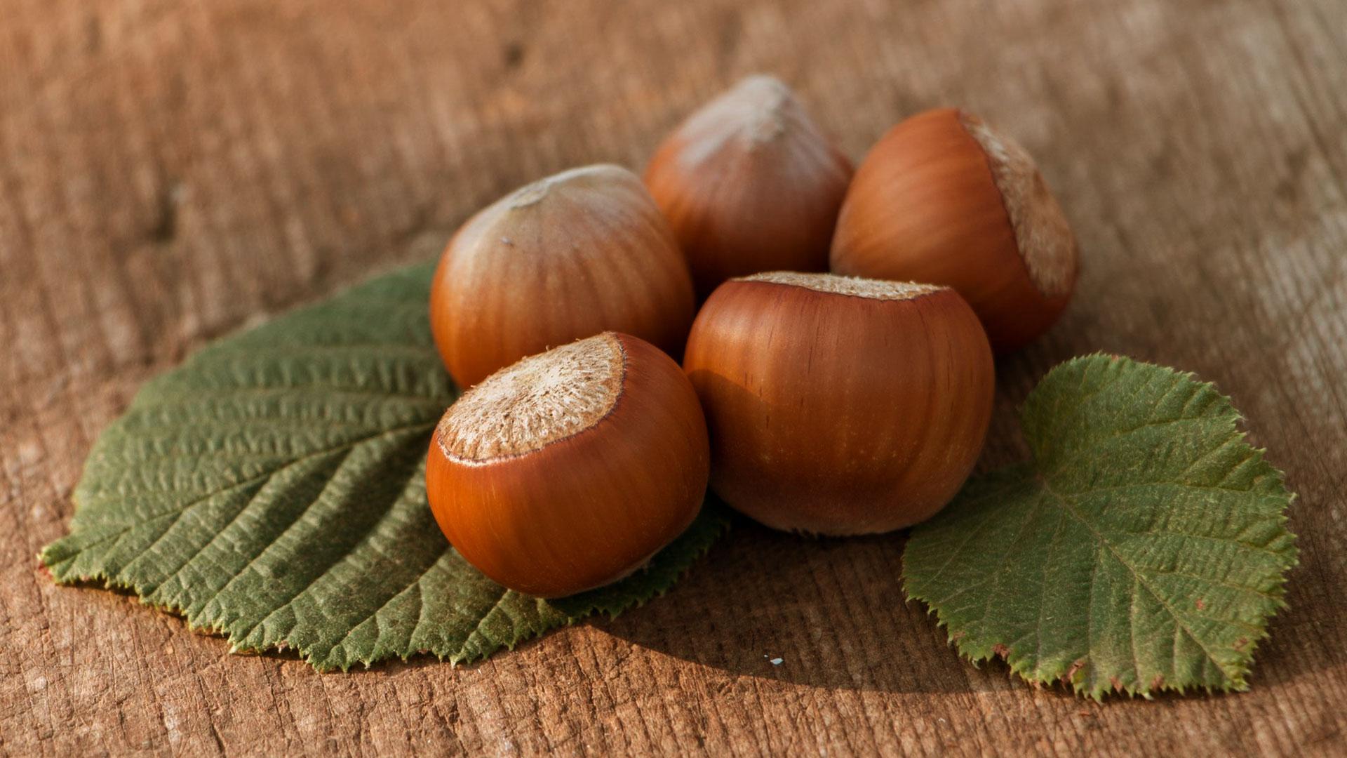 Hazelnut Wallpapers - Top Free Hazelnut Backgrounds - WallpaperAccess