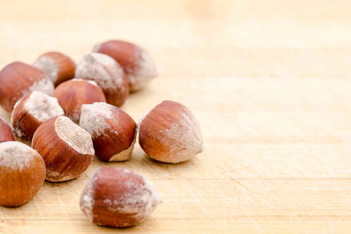 Hazelnut Wallpapers - Top Free Hazelnut Backgrounds - WallpaperAccess
