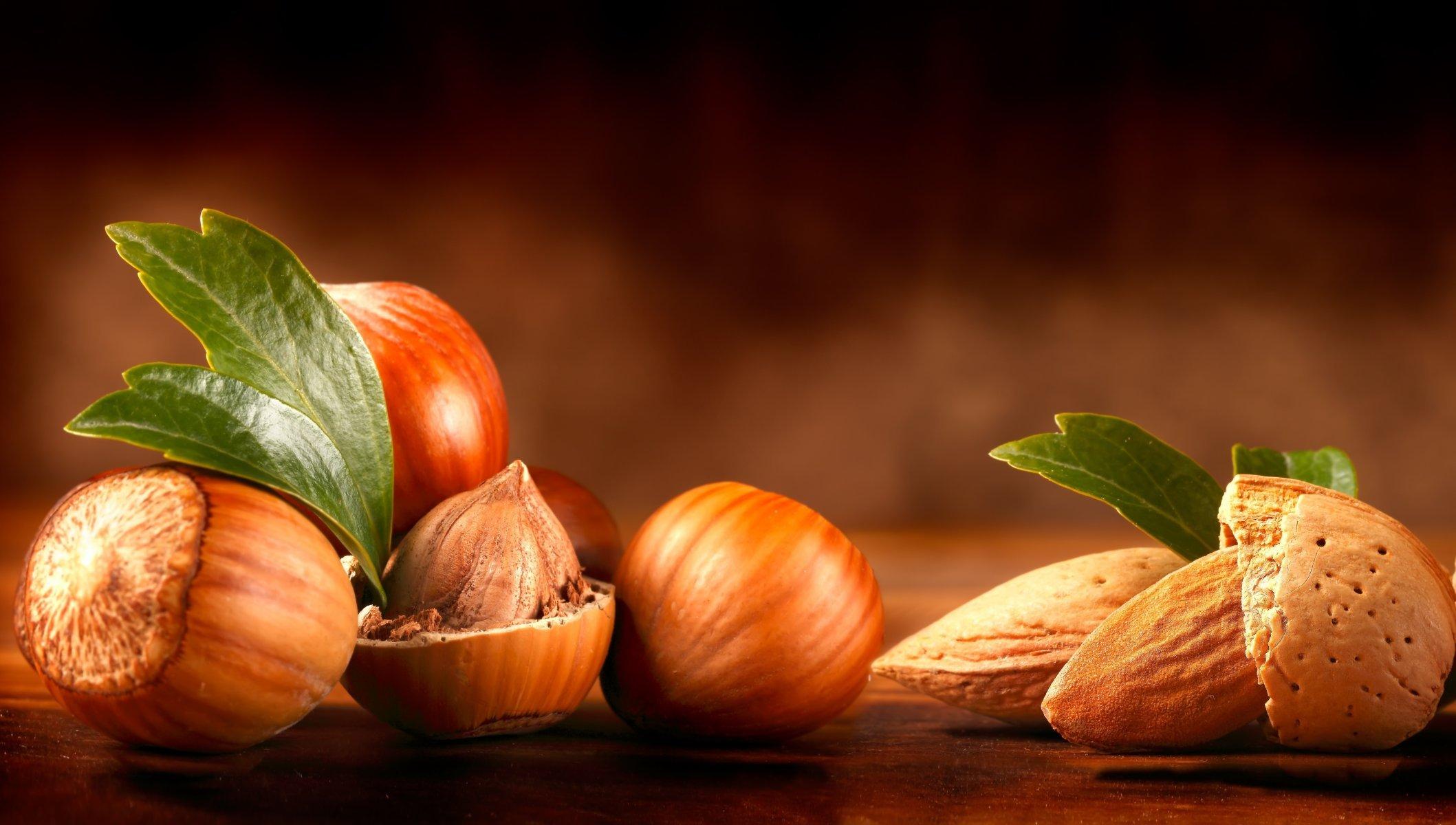 Hazelnut Wallpapers - Top Free Hazelnut Backgrounds - WallpaperAccess
