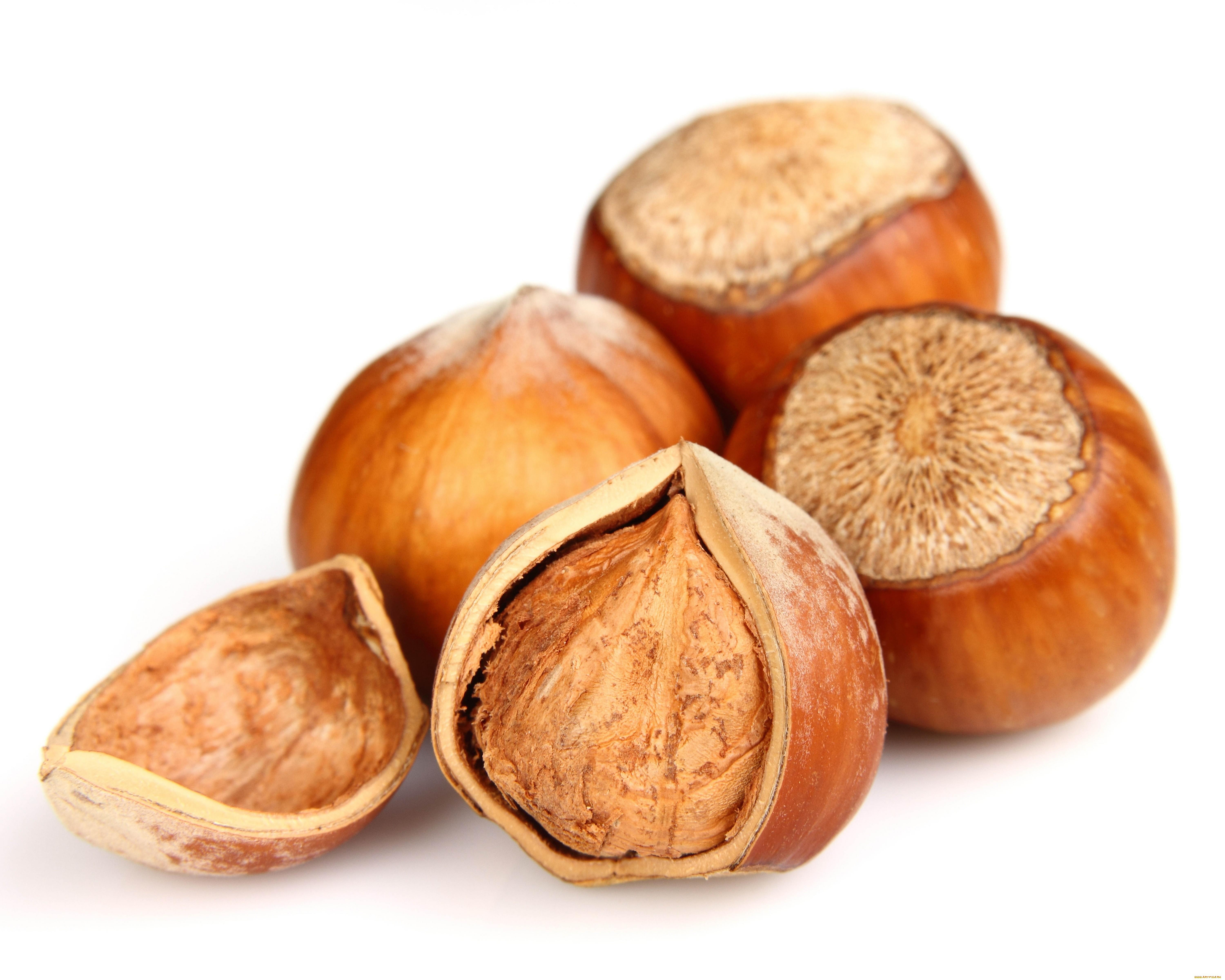 Hazelnut Wallpapers - Top Free Hazelnut Backgrounds - WallpaperAccess