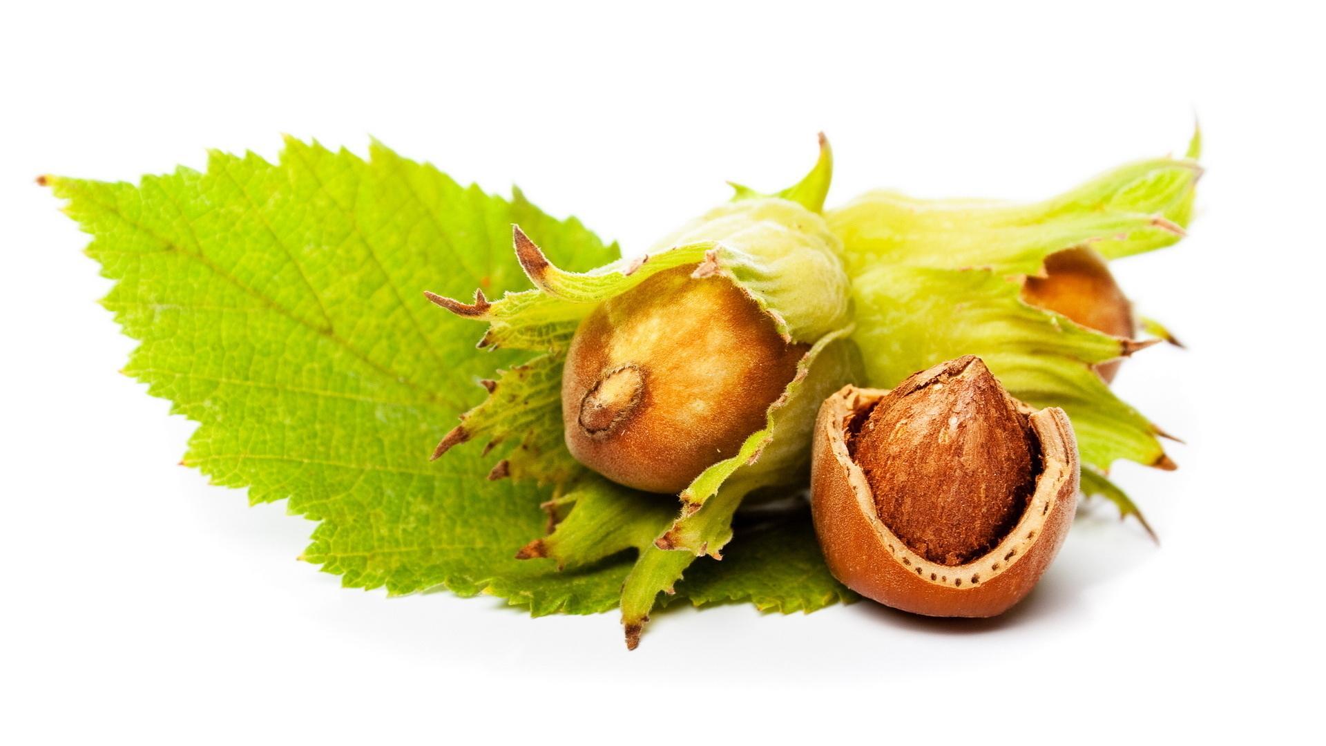 Hazelnut Wallpapers - Top Free Hazelnut Backgrounds - WallpaperAccess