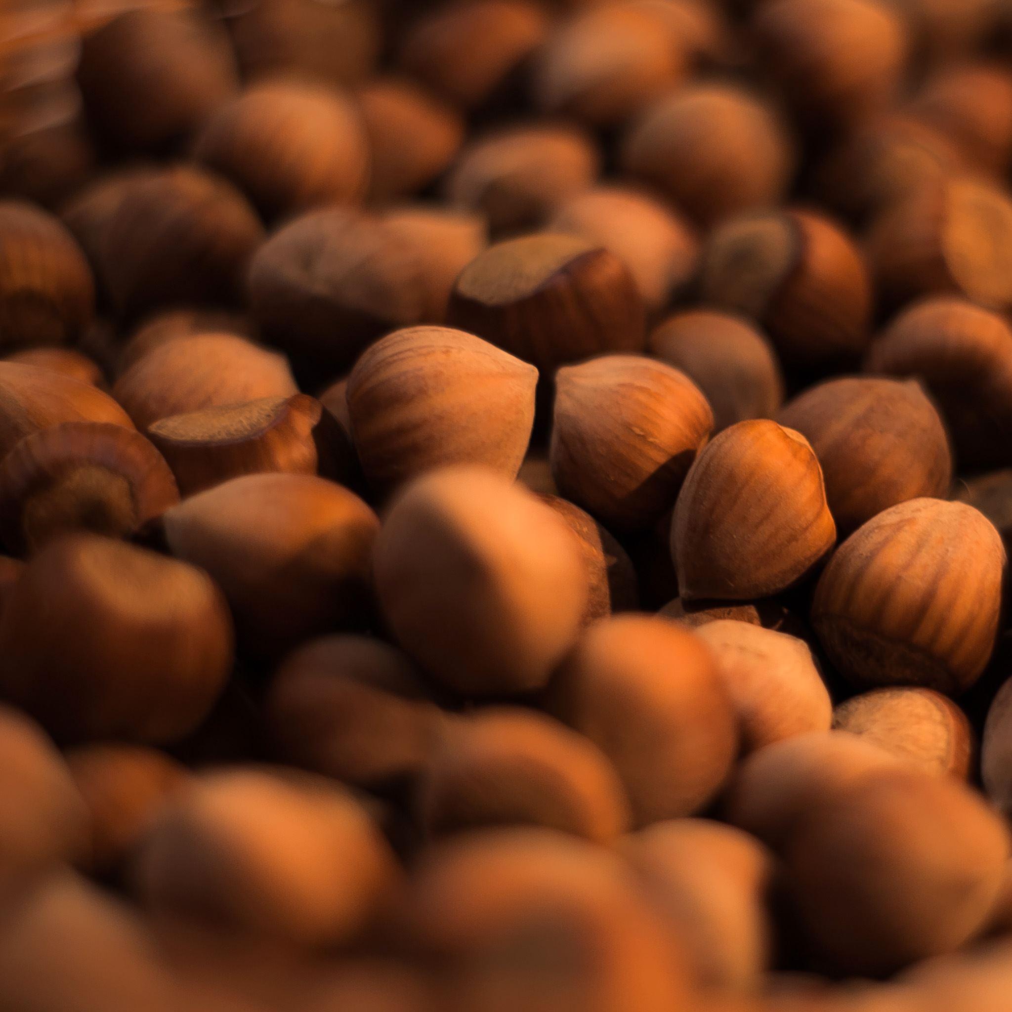 Hazelnut Wallpapers - Top Free Hazelnut Backgrounds - WallpaperAccess