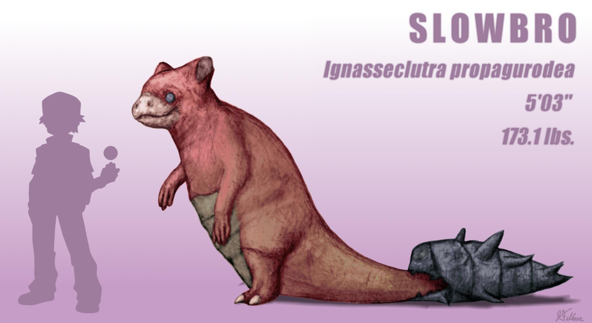 Slowbro Wallpapers - Top Free Slowbro Backgrounds - WallpaperAccess