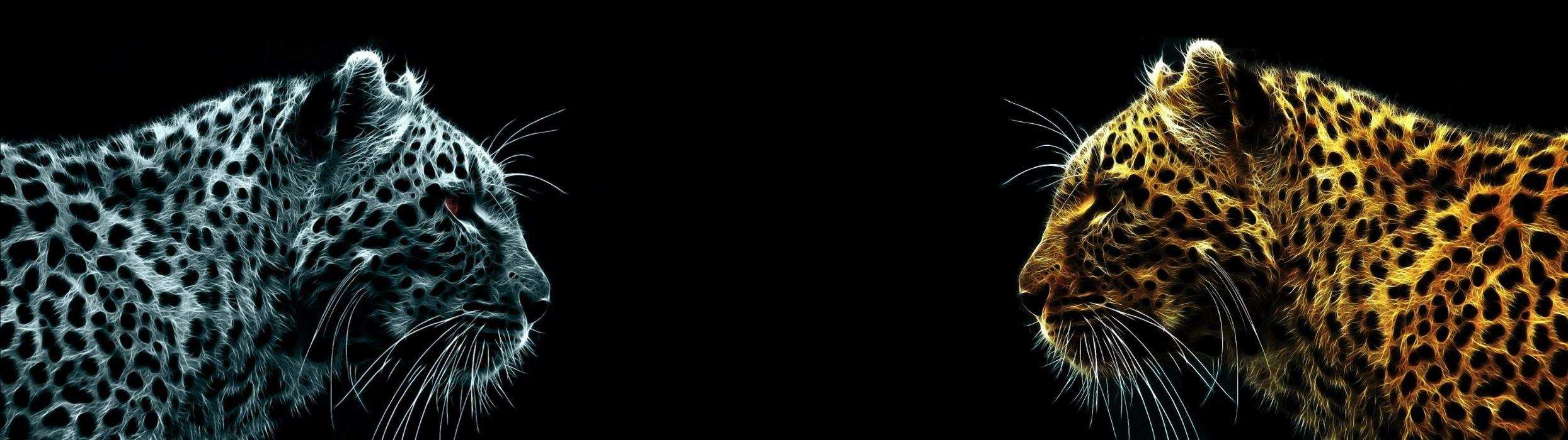 Tiger Cat Wallpapers - Top Free Tiger Cat Backgrounds - WallpaperAccess