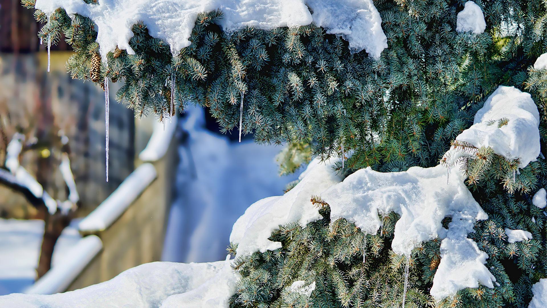 Christmas Snow Desktop Wallpapers - Top Free Christmas Snow Desktop ...