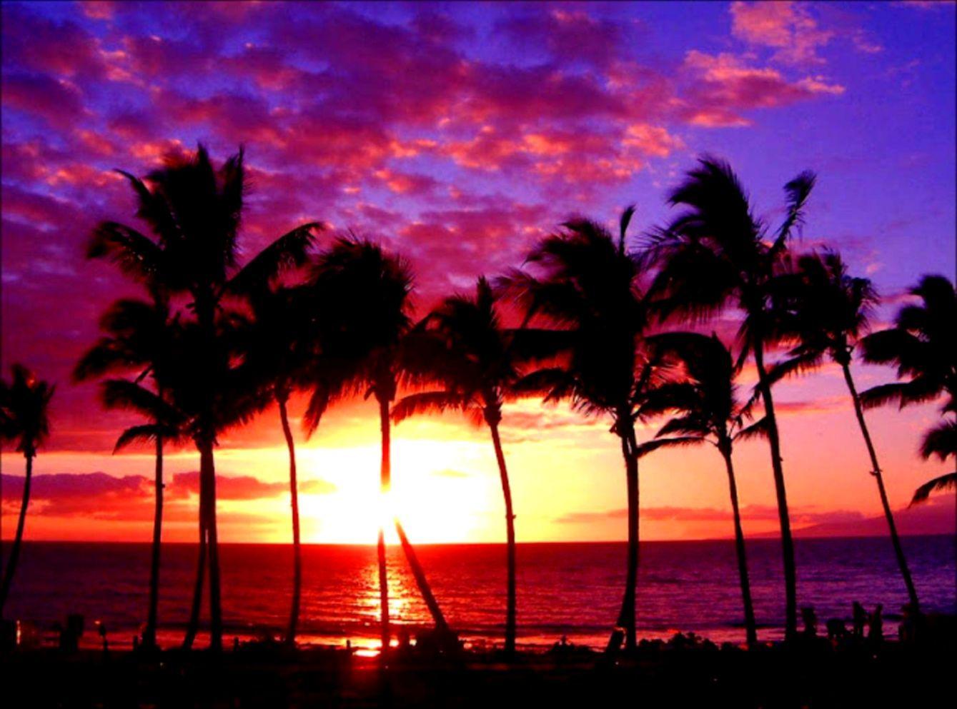 Purple Ocean Sunset Wallpapers - Top Free Purple Ocean Sunset ...