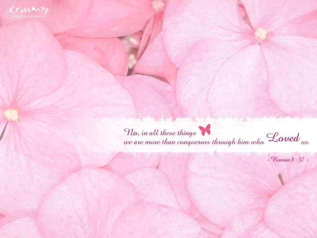 Pink Christian Desktop Wallpapers - Top Free Pink Christian Desktop ...