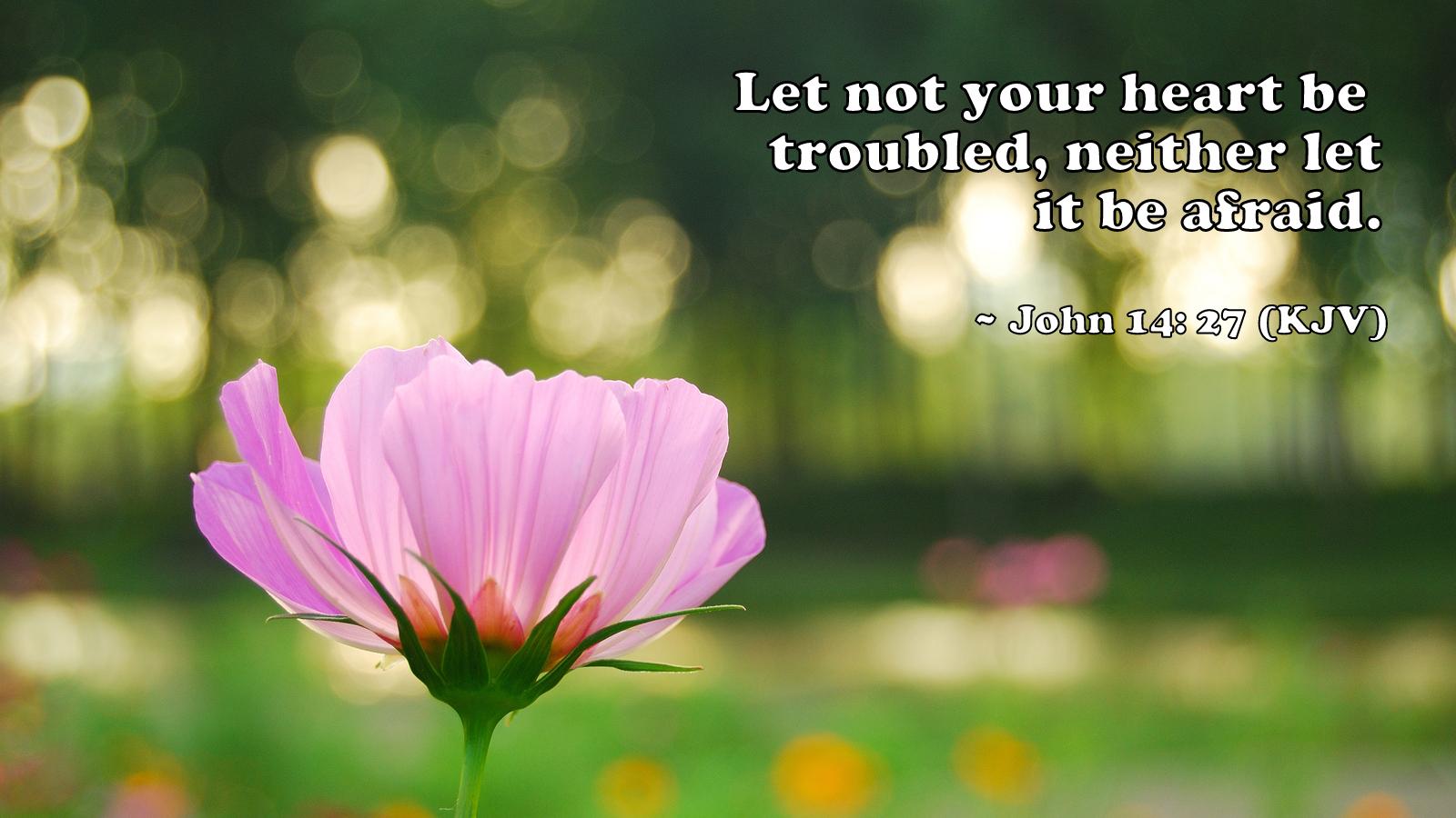 Pink Christian Desktop Wallpapers - Top Free Pink Christian Desktop ...