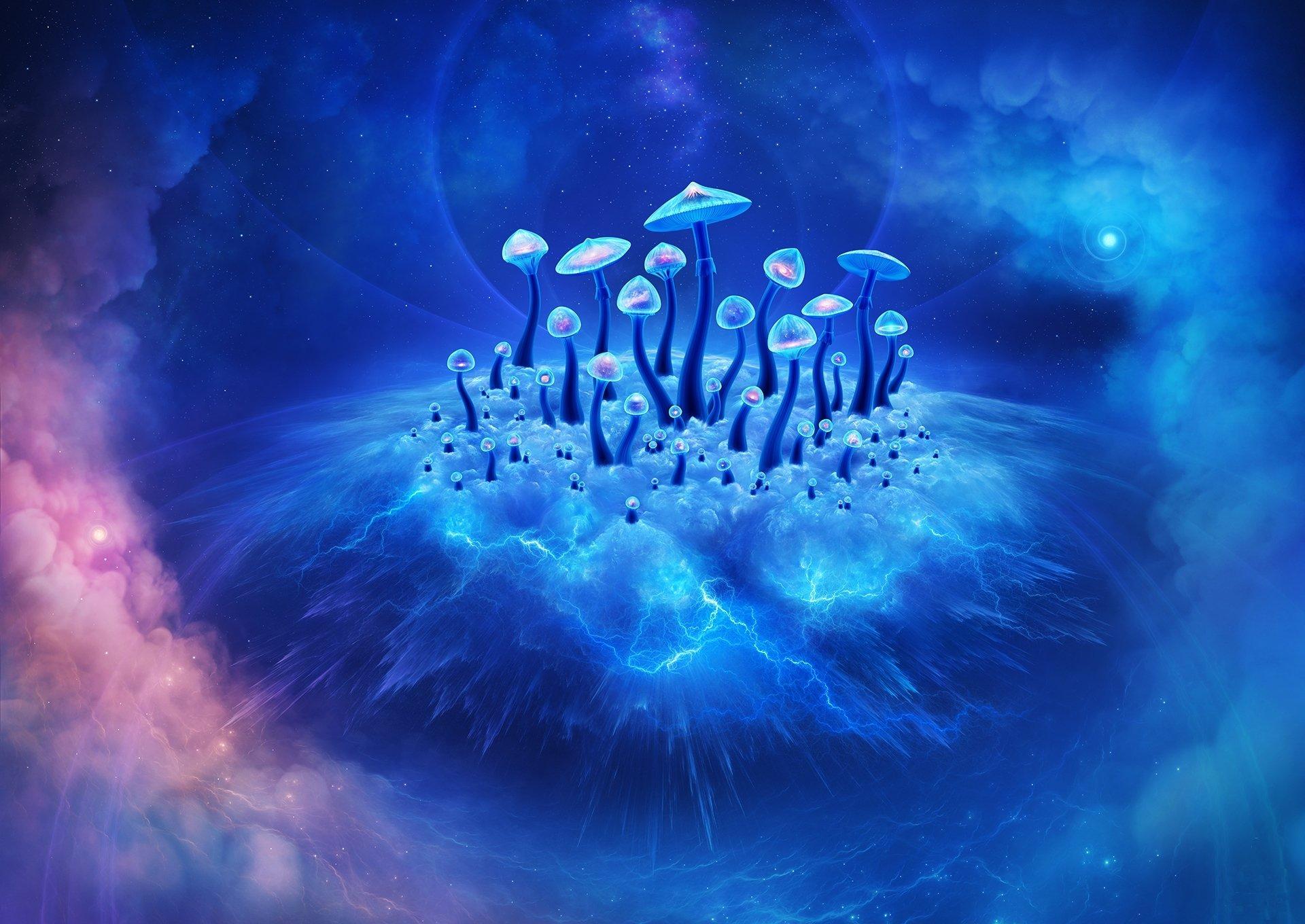 Blue Mushroom Wallpapers - Top Free Blue Mushroom Backgrounds ...