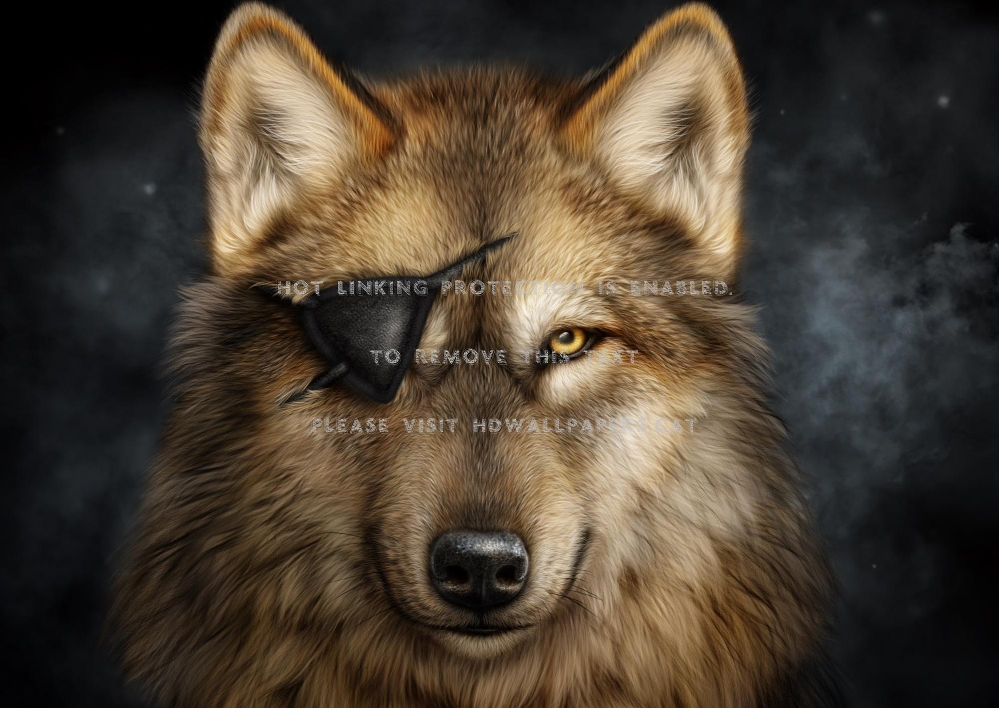 Wolf Digital Art Wallpapers - Top Free Wolf Digital Art Backgrounds ...