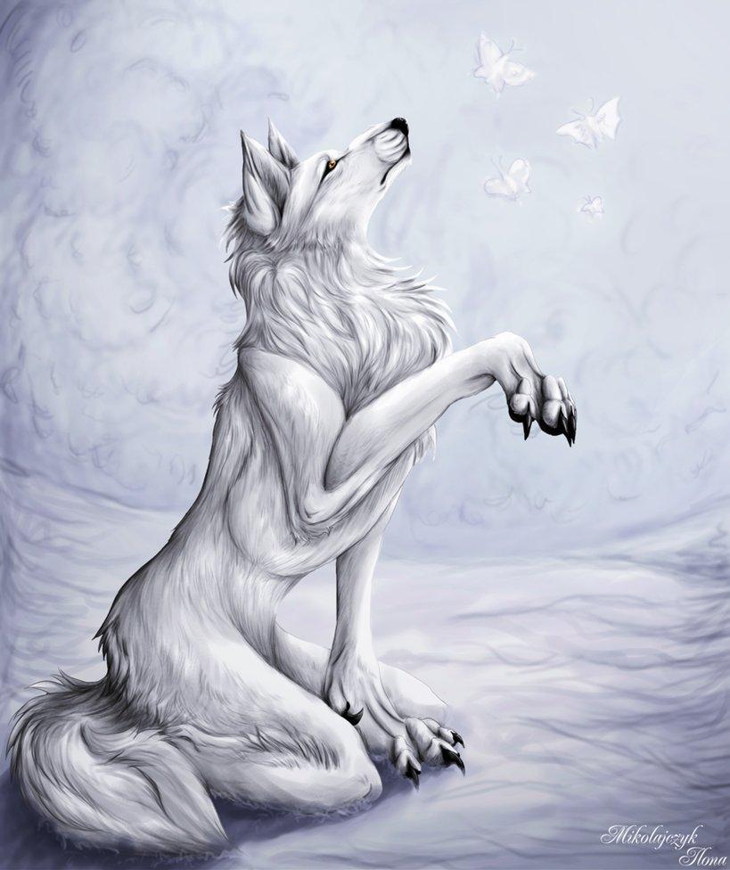 Wolf Digital Art Wallpapers - Top Free Wolf Digital Art Backgrounds ...