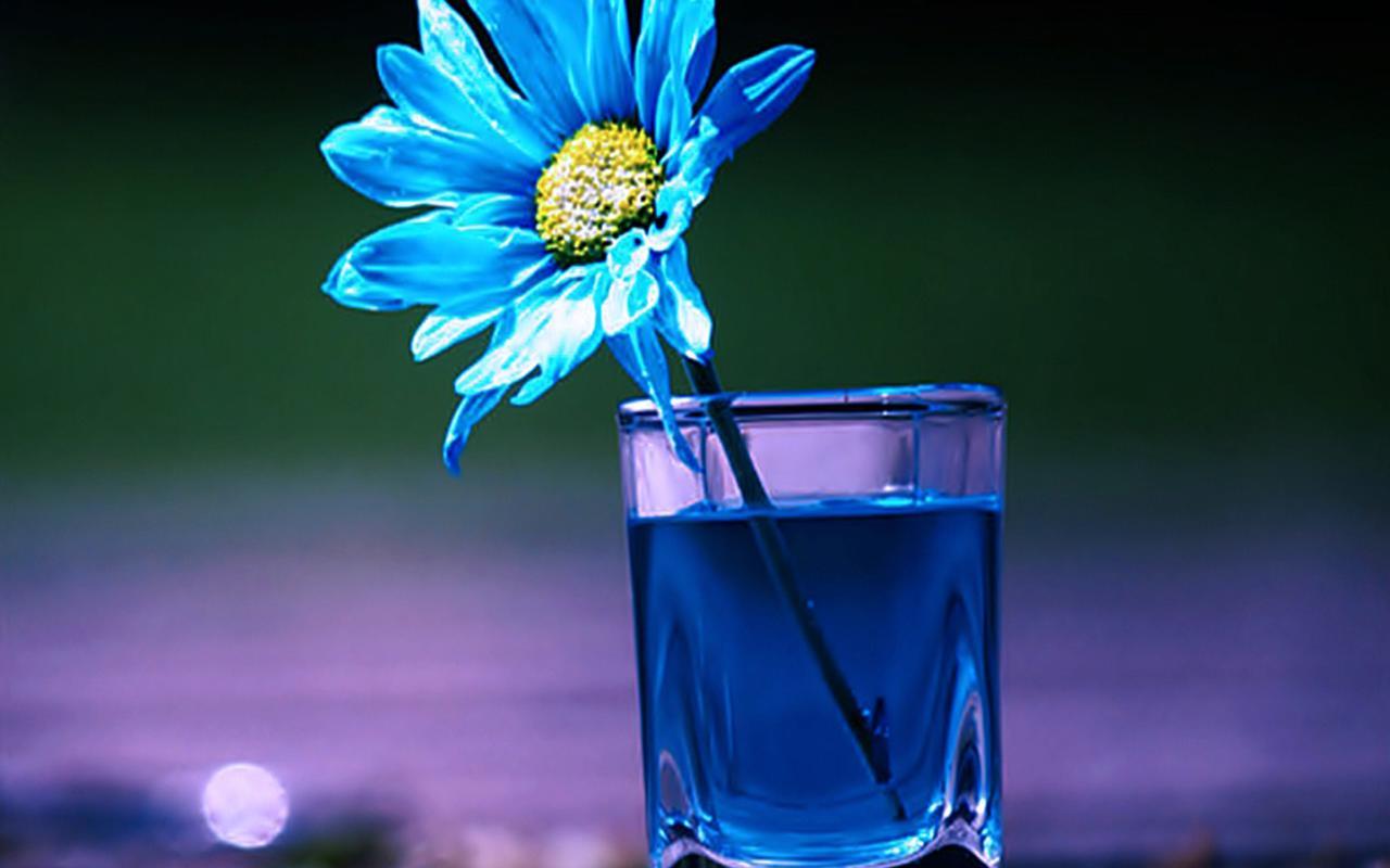 Blue Flower Abstract Desktop Wallpapers - Top Free Blue Flower Abstract ...