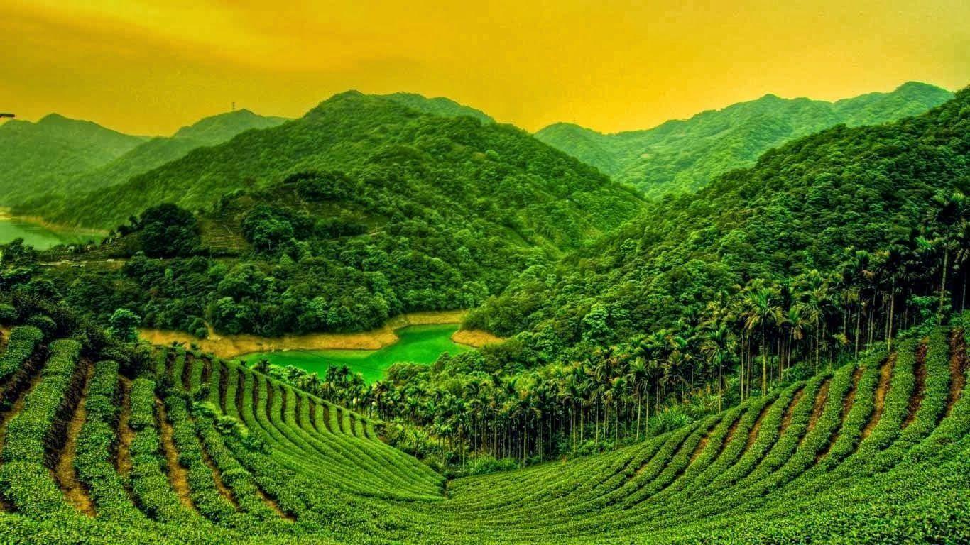 Bing Desktop Nature Wallpapers - Top Free Bing Desktop Nature ...