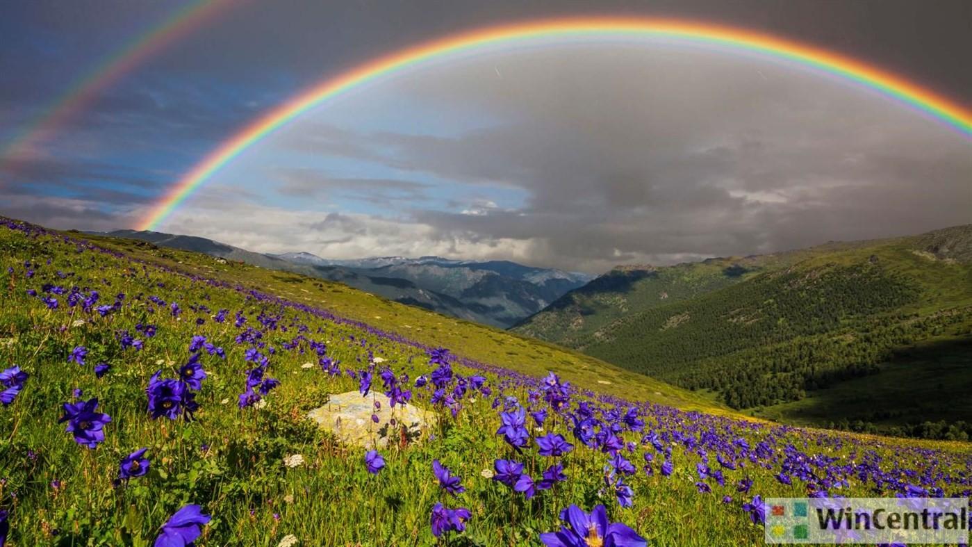 Bing Desktop Nature Wallpapers - Top Free Bing Desktop Nature ...