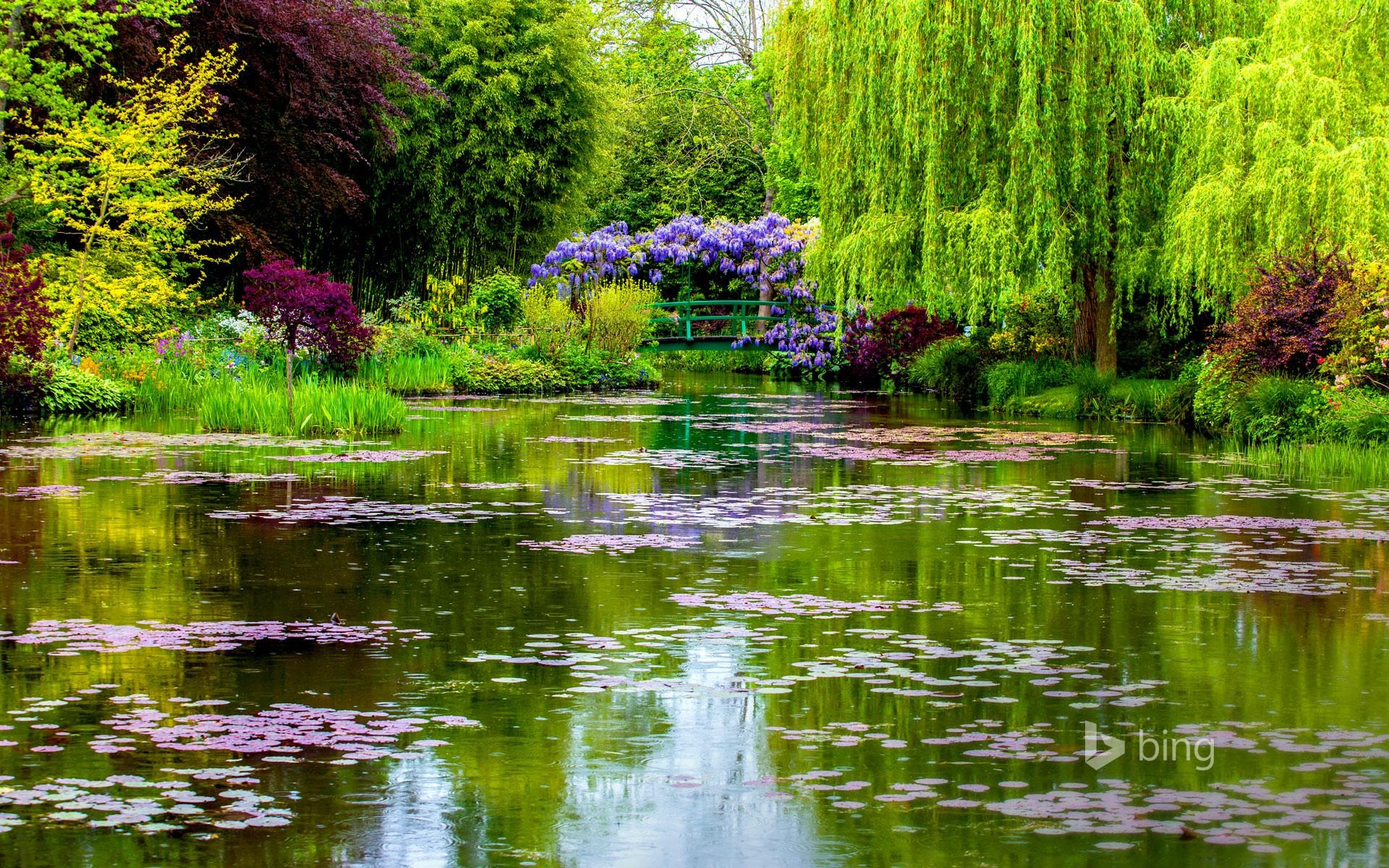 Bing Desktop Nature Wallpapers - Top Free Bing Desktop Nature ...