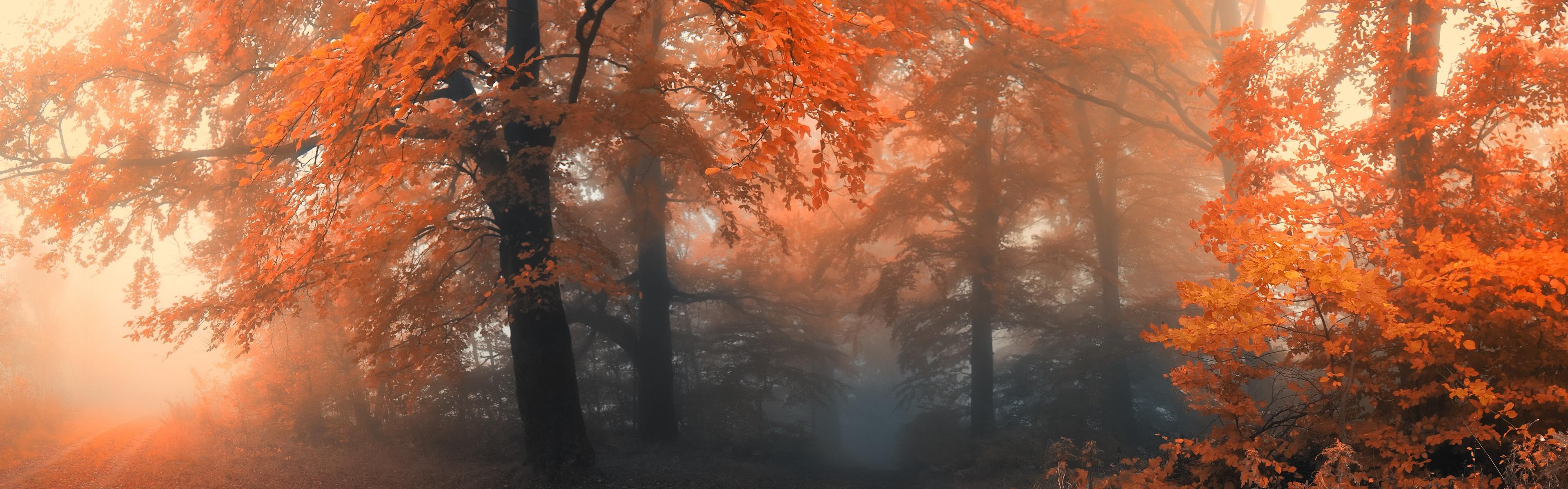 3840X1200 Nature HD Wallpapers - Top Free 3840X1200 Nature HD ...