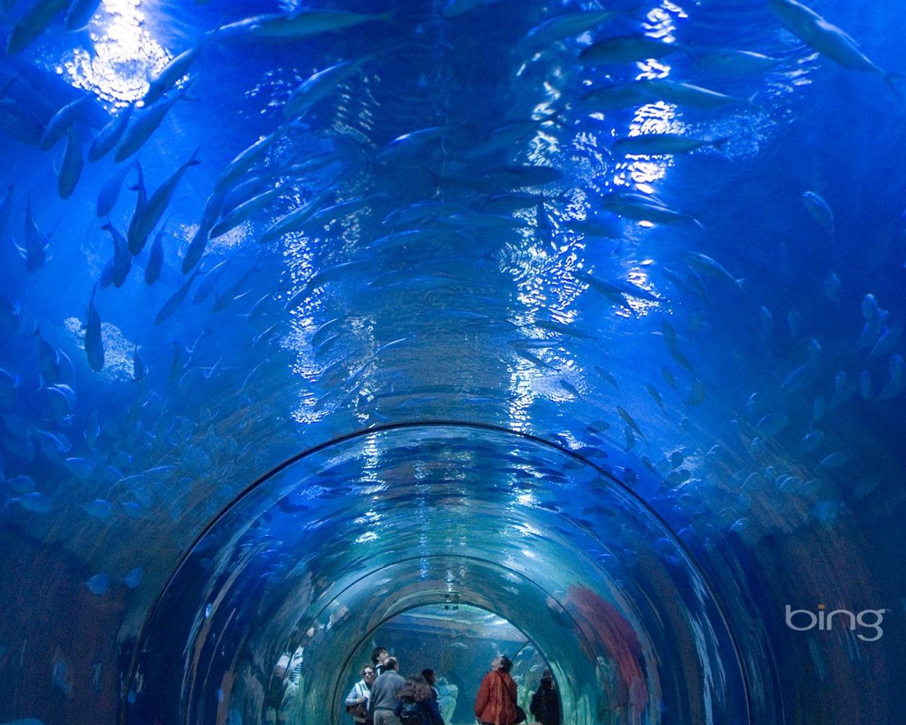 Bing Travel Wallpapers - Top Free Bing Travel Backgrounds - WallpaperAccess