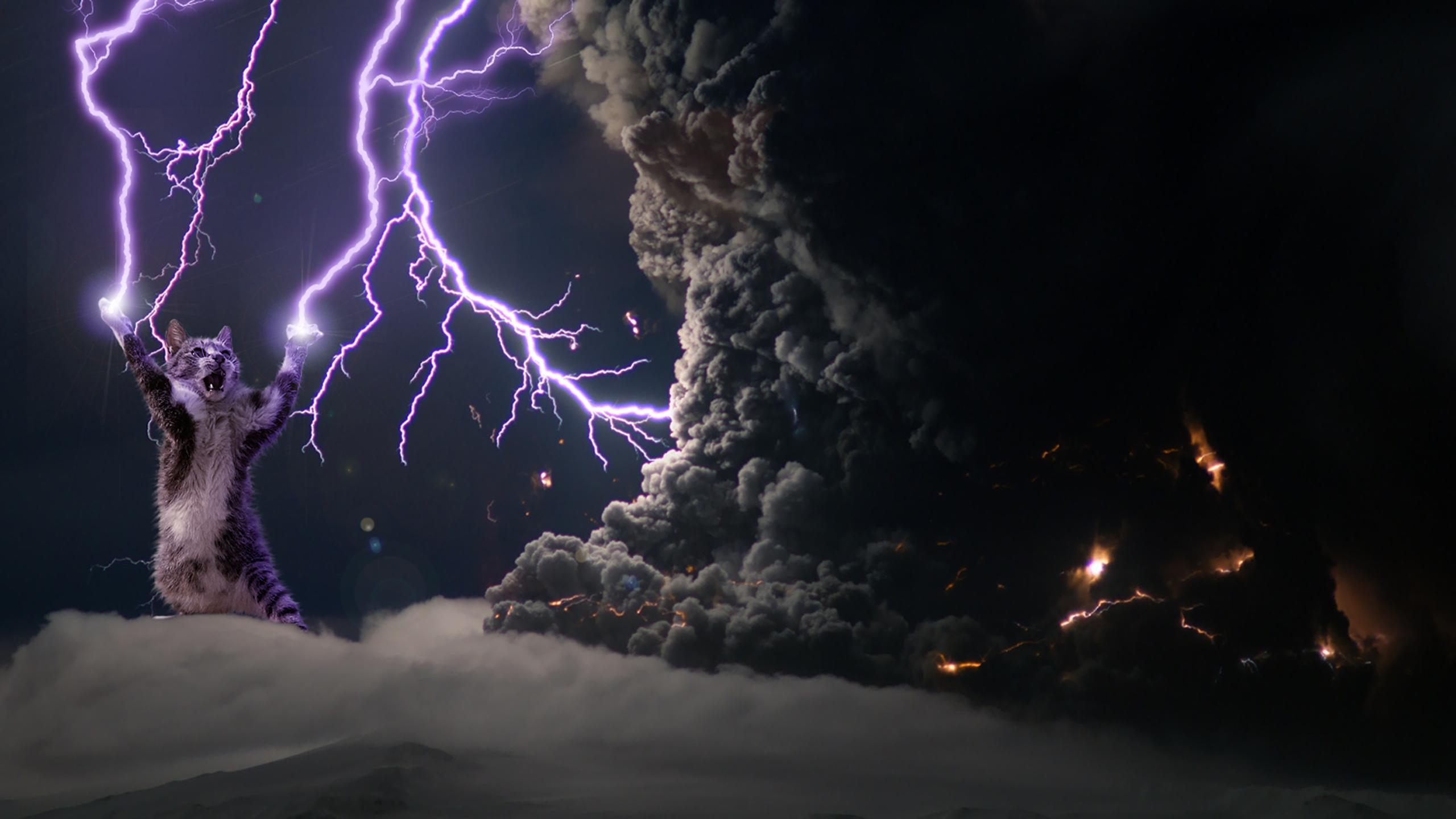 Powercat Wallpapers - Top Free Powercat Backgrounds - WallpaperAccess