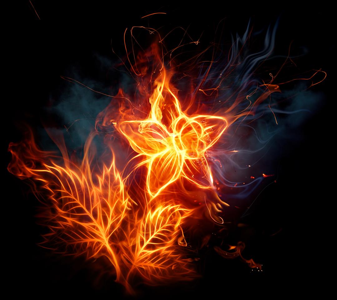 FireStar Wallpapers - Top Free FireStar Backgrounds - WallpaperAccess