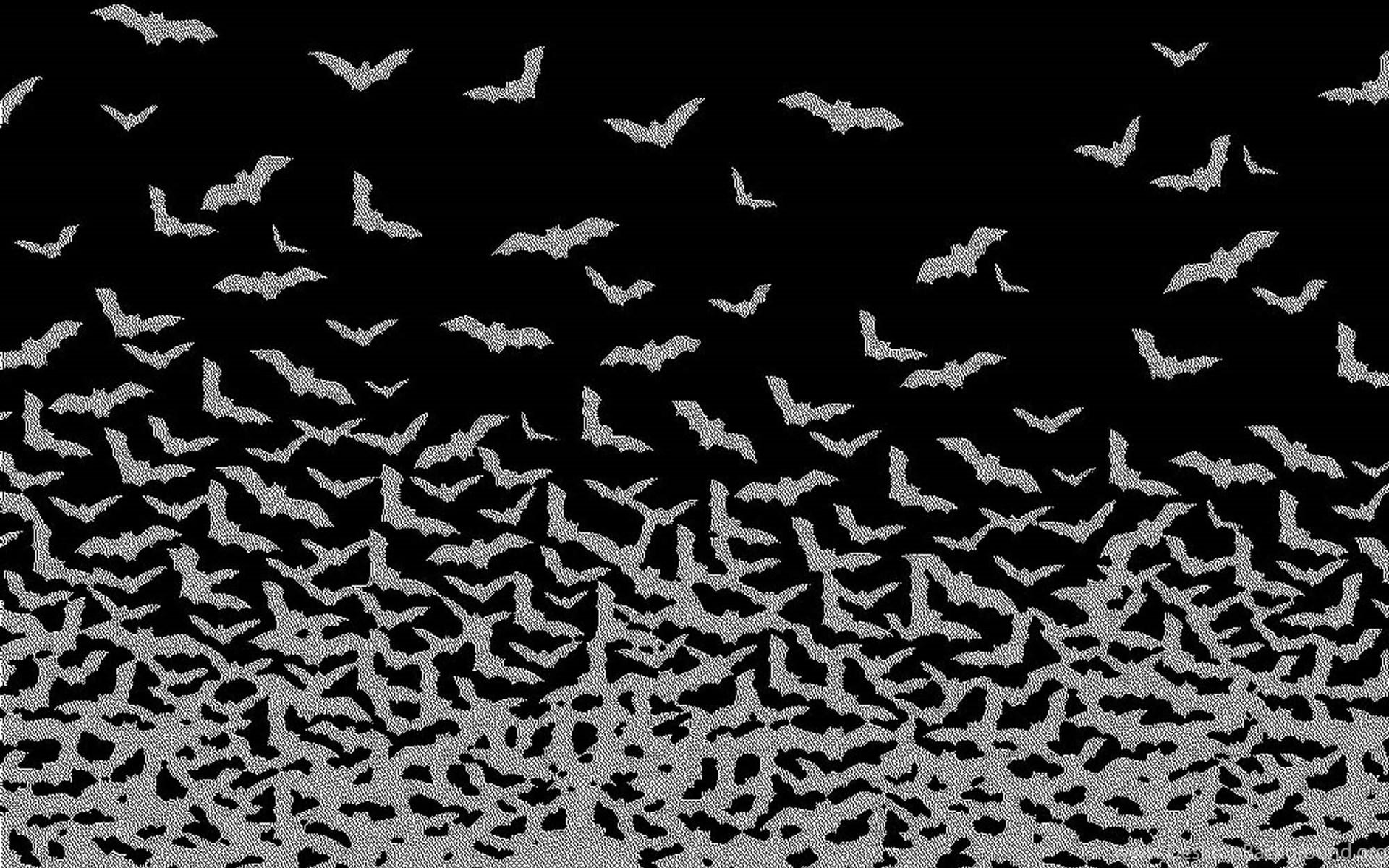 Bat Desktop Wallpapers - Top Free Bat Desktop Backgrounds - WallpaperAccess