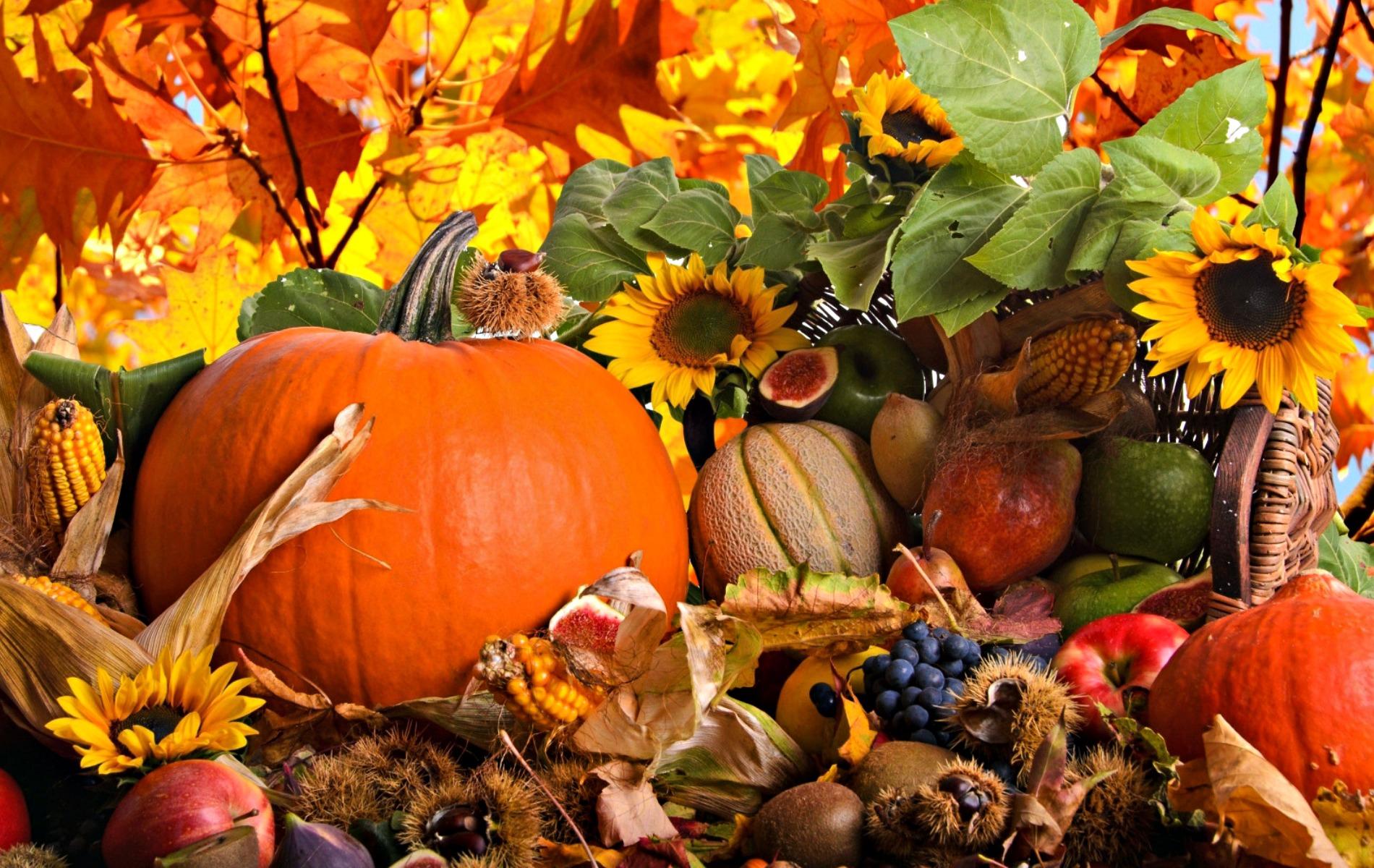 November Harvest Wallpapers - Top Free November Harvest Backgrounds ...