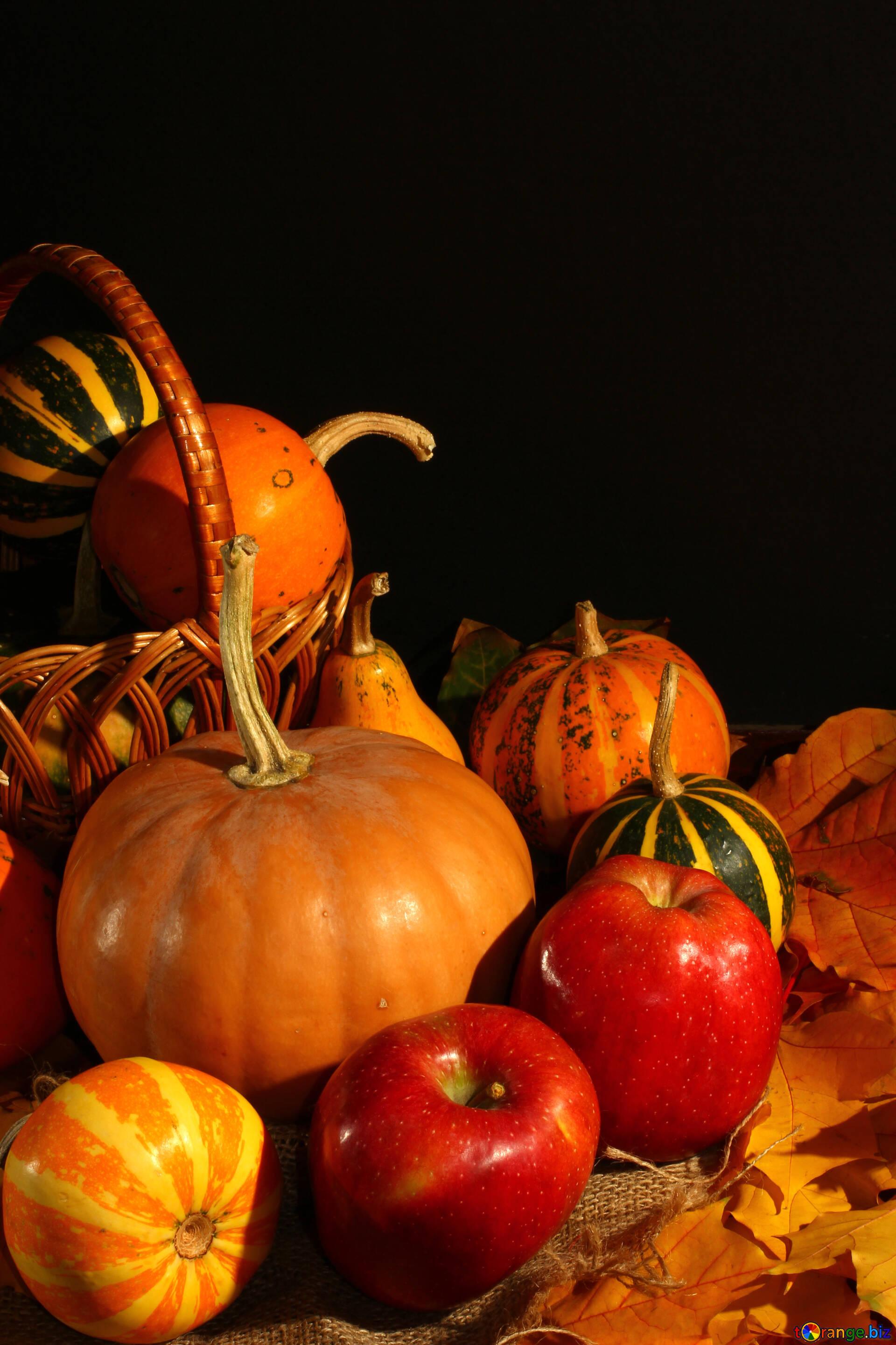 November Harvest Wallpapers - Top Free November Harvest Backgrounds ...