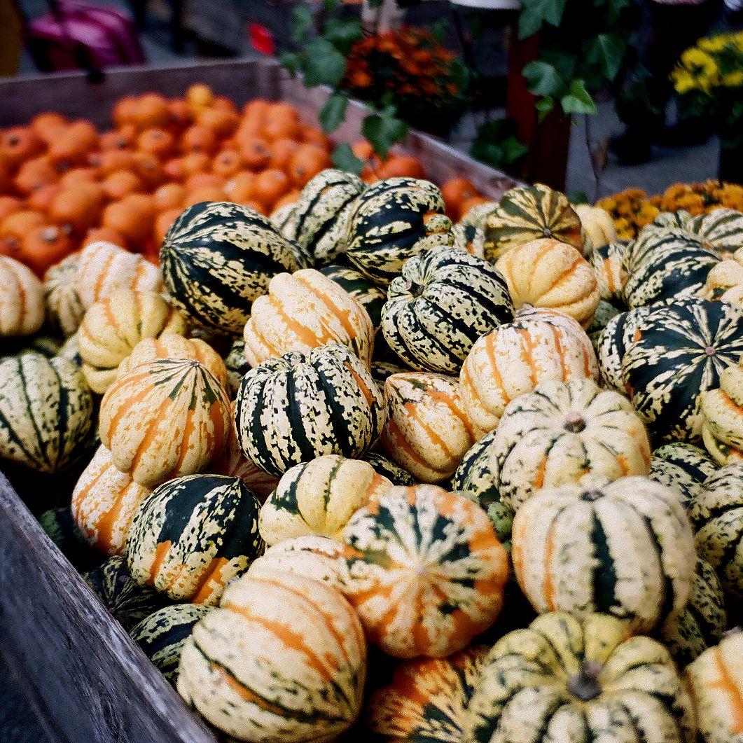 November Harvest Wallpapers - Top Free November Harvest Backgrounds ...