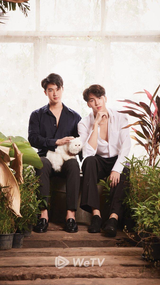 Thai BL Wallpapers - Top Free Thai BL Backgrounds - WallpaperAccess