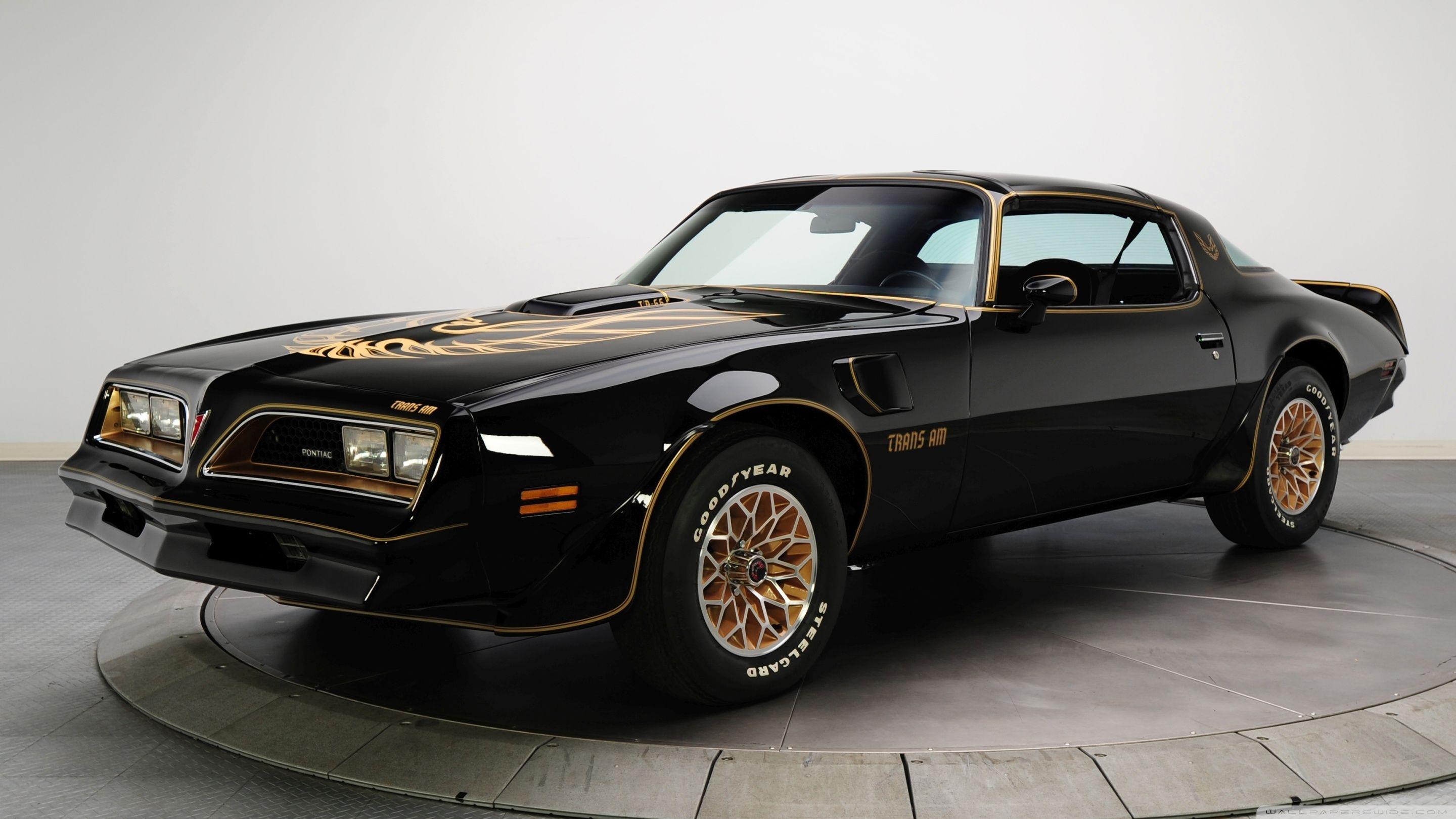 Trans AM Wallpapers - Top Free Trans AM Backgrounds - WallpaperAccess