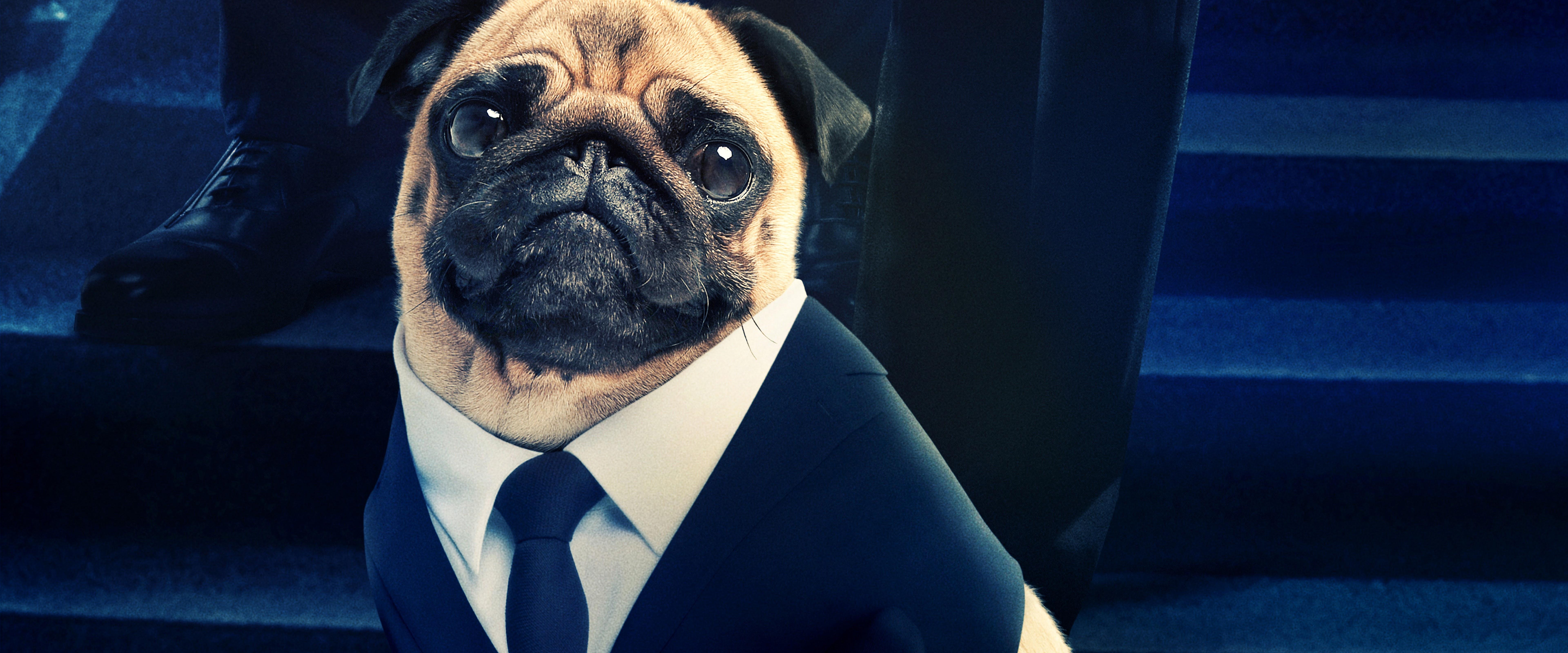 Pug Computer Wallpapers - Top Free Pug Computer Backgrounds ...
