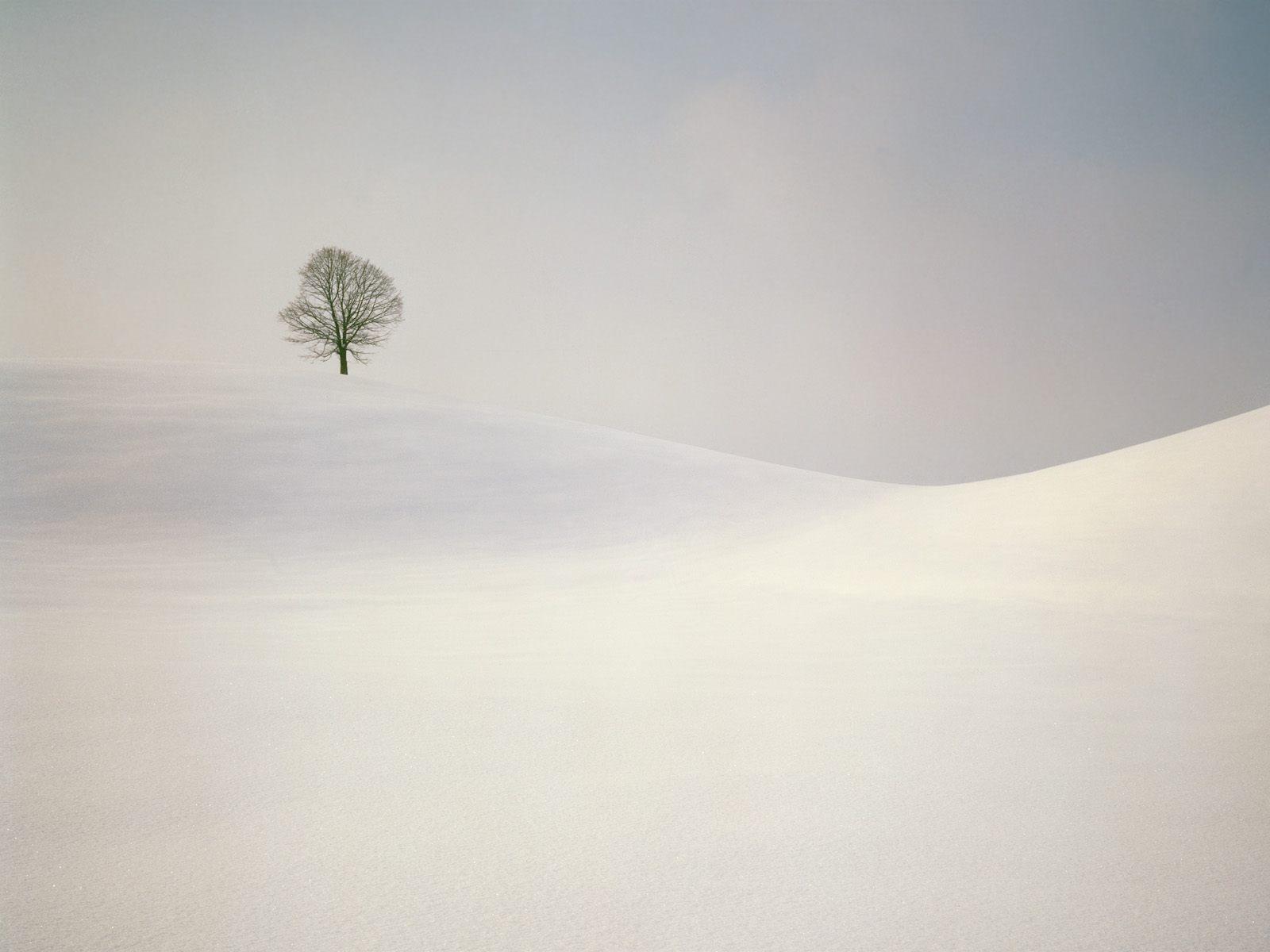 Alone in Snow Wallpapers - Top Free Alone in Snow Backgrounds ...
