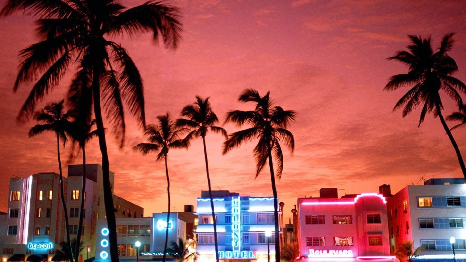 Miami Palm Tree Wallpapers - Top Free Miami Palm Tree Backgrounds ...