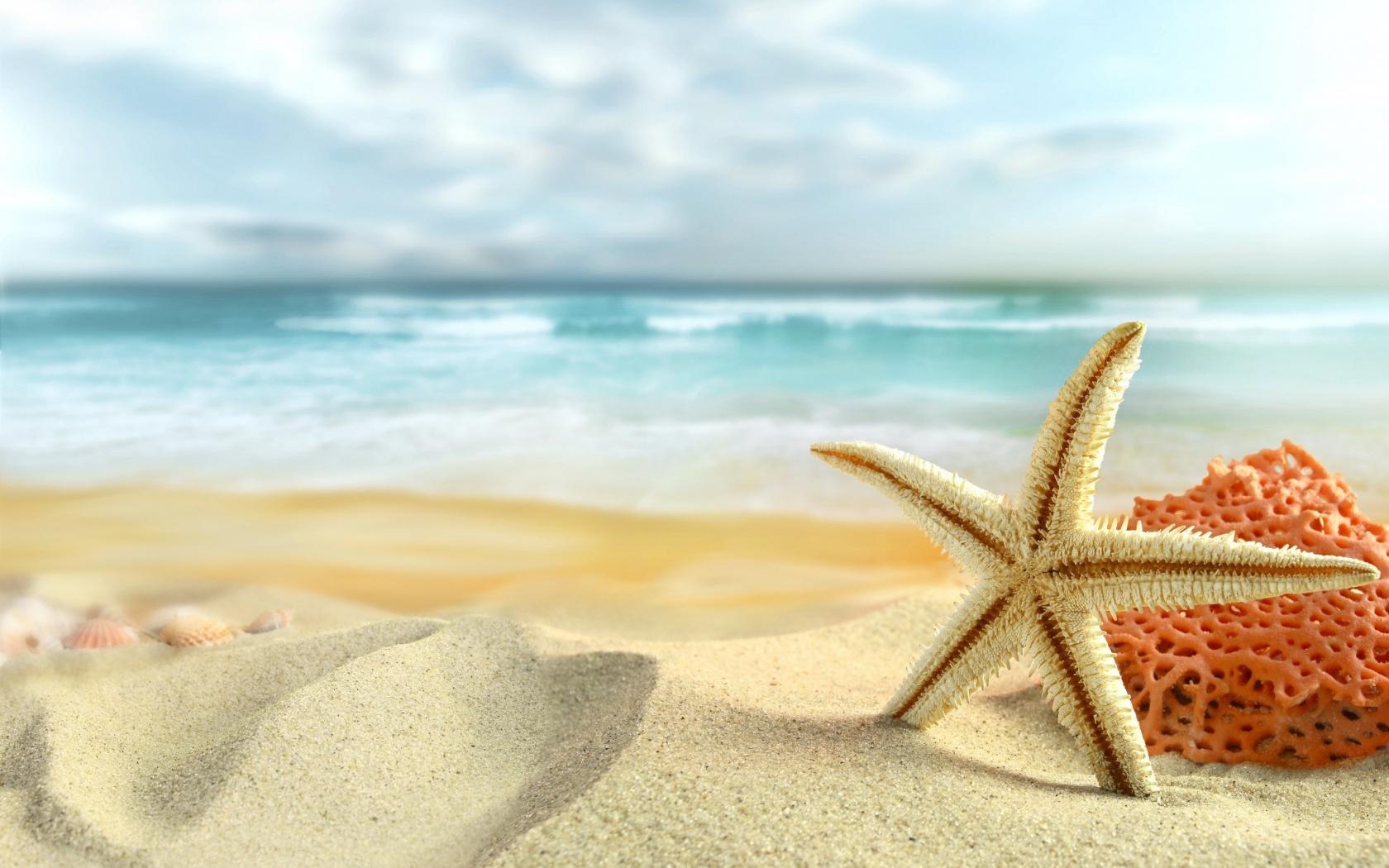 1680X1050 Beach Wallpapers - Top Free 1680X1050 Beach Backgrounds ...
