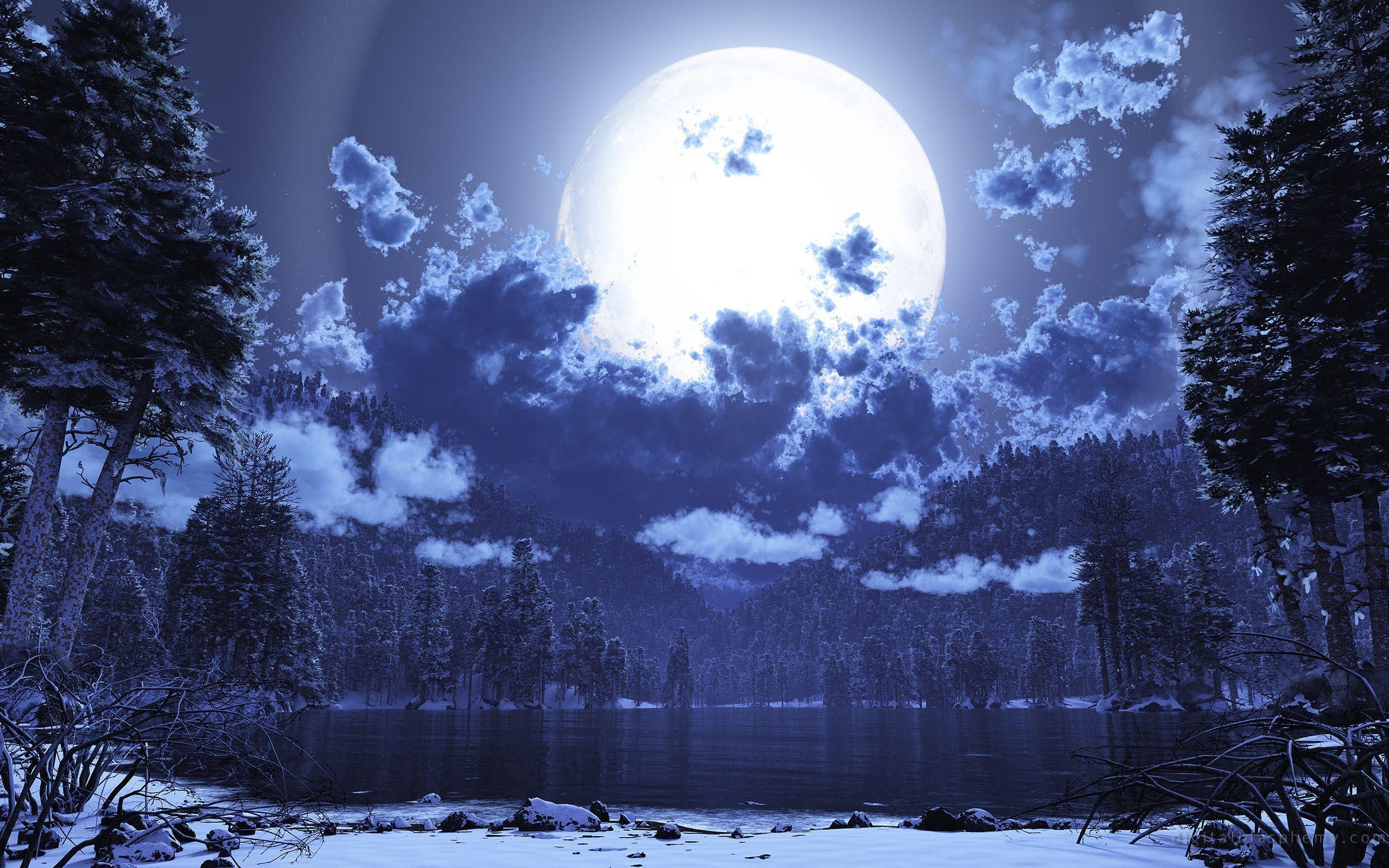 Full Moon Forest Wallpapers - Top Free Full Moon Forest Backgrounds ...
